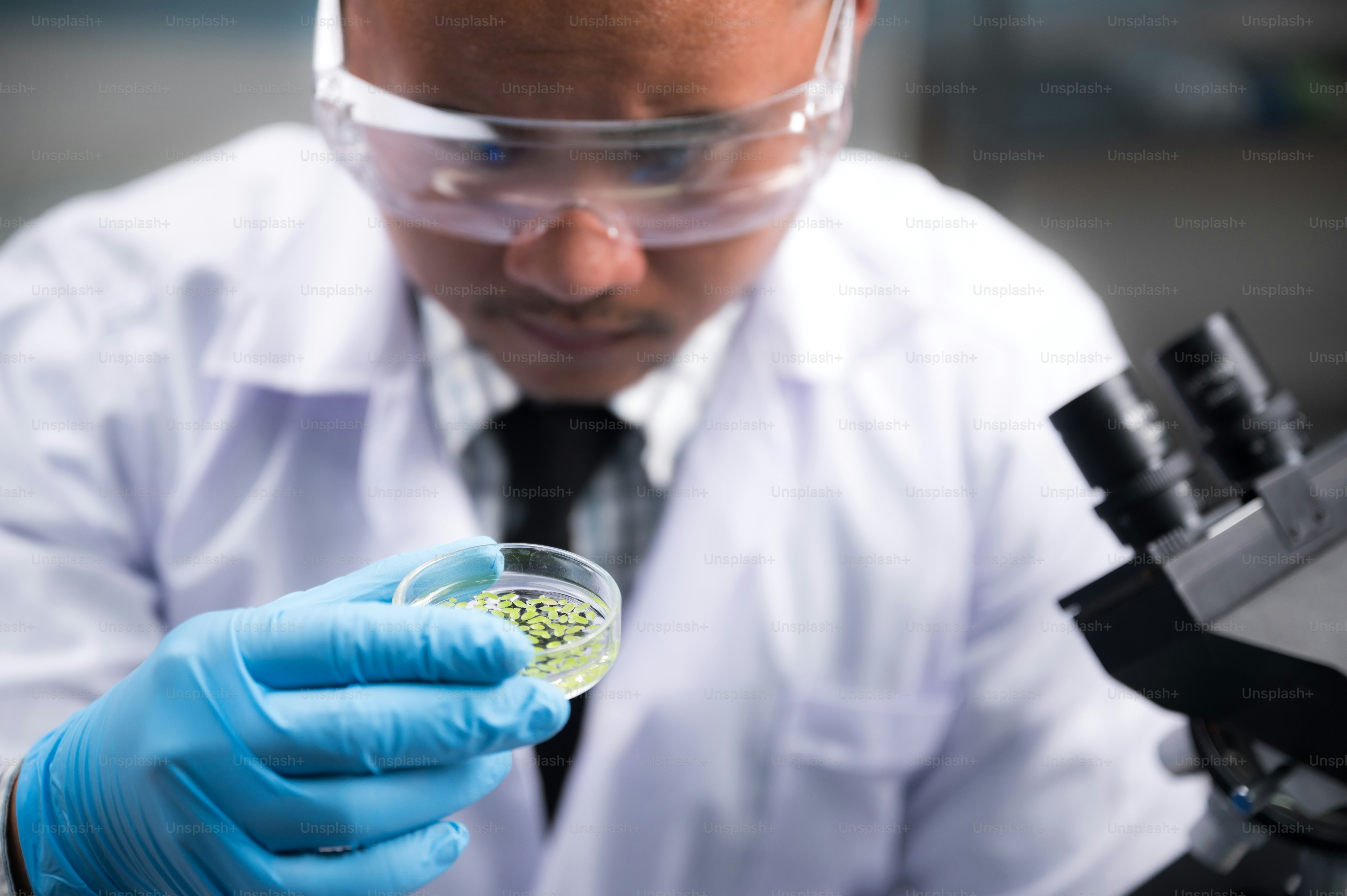 Plant researcher working in laboratory photo – Industry Image on Unsplash