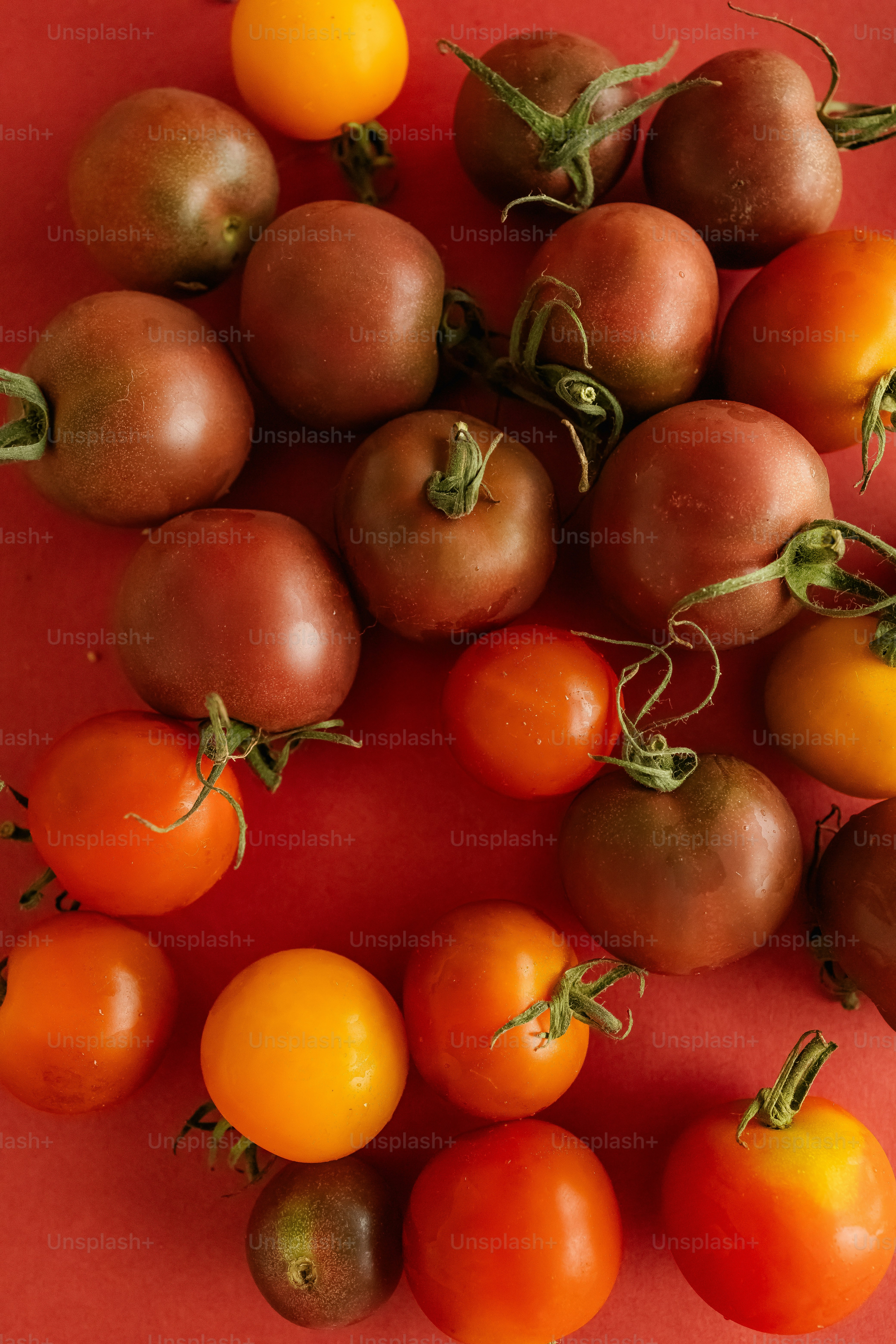 500+ Tomatoes Pictures | Download Free Images on Unsplash