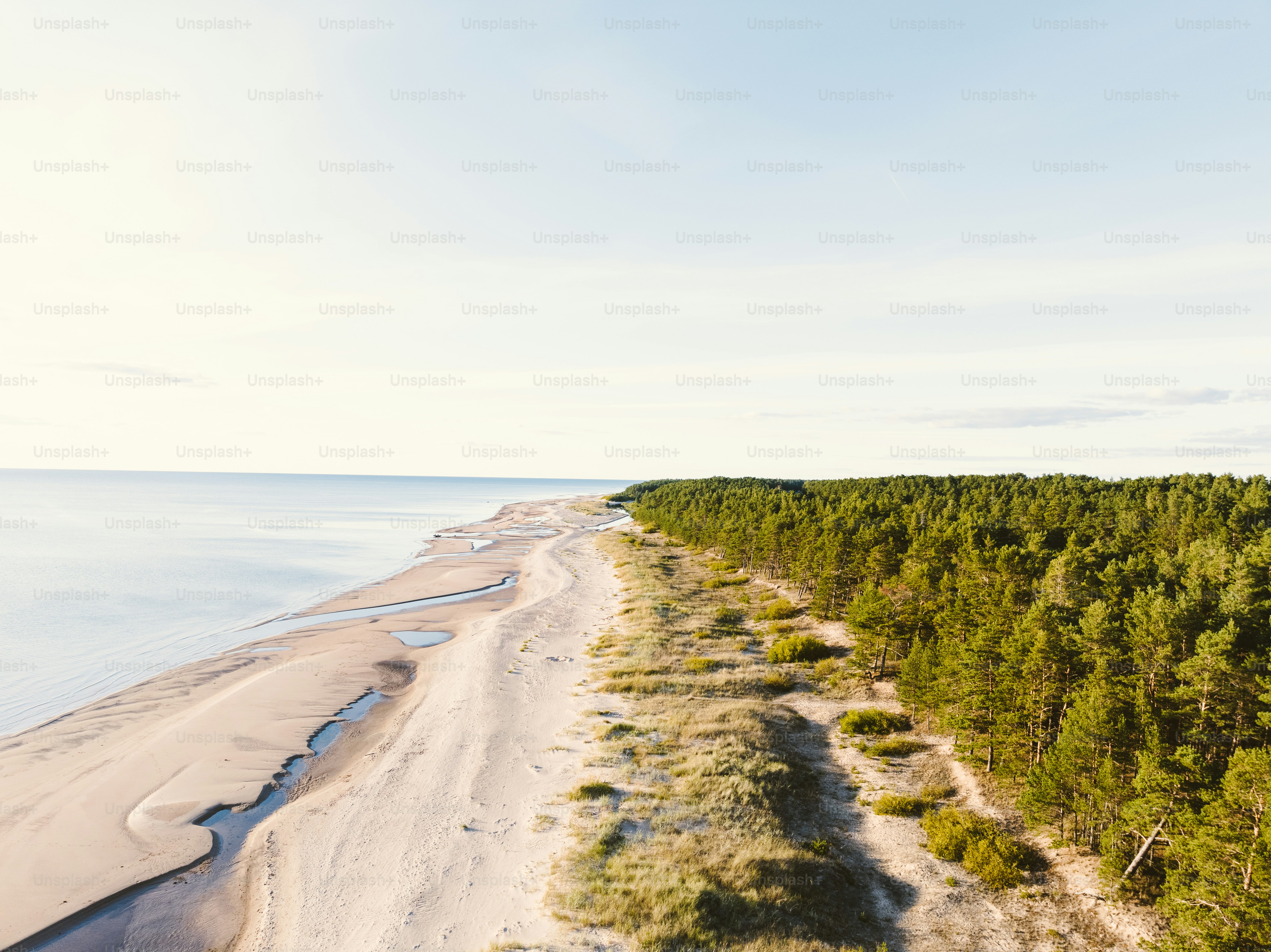 An aerial view of a beach and trees photo – Waterside Image on Unsplash