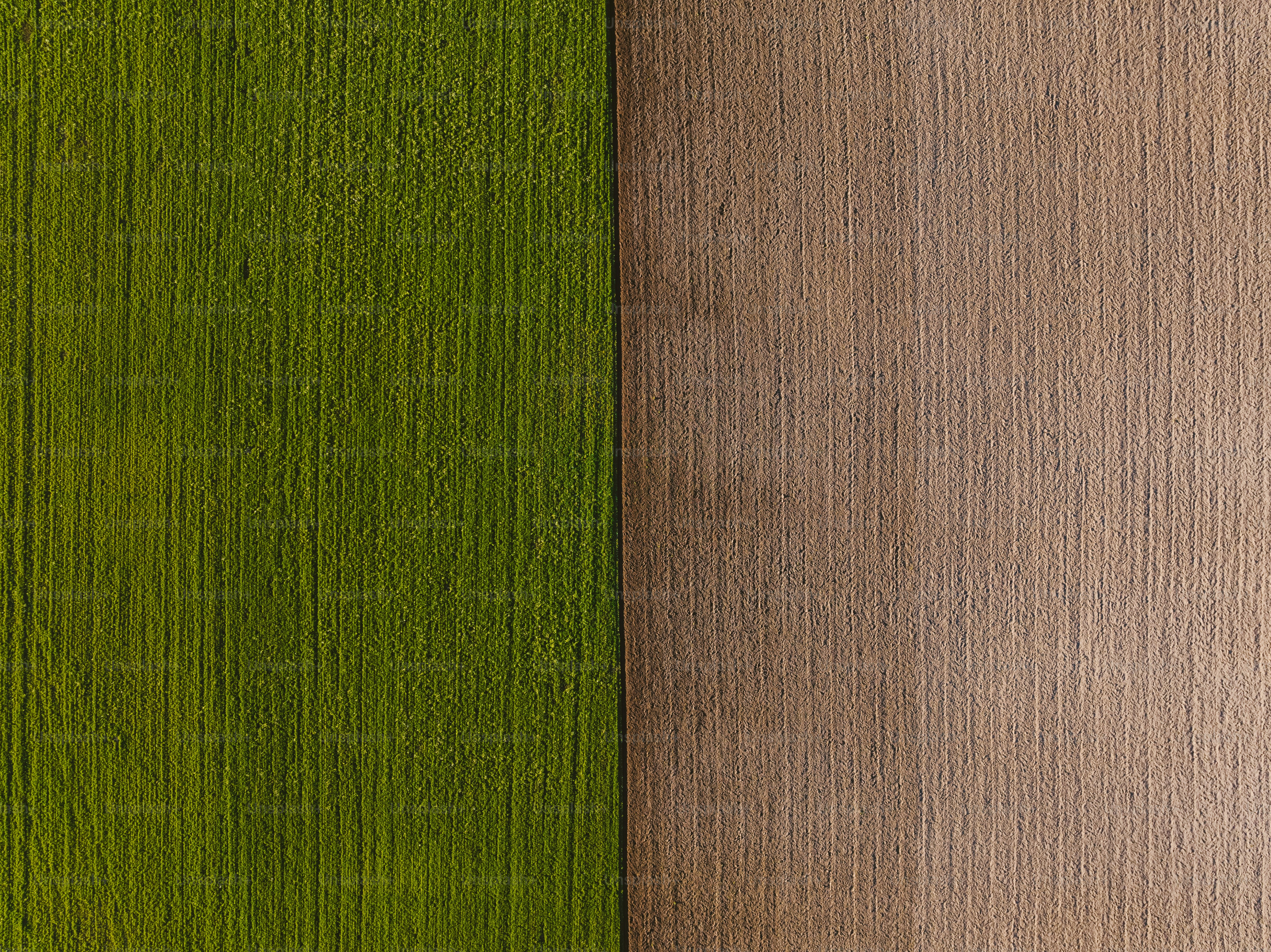 A close up of two different colors of wood photo – Banner Image on Unsplash