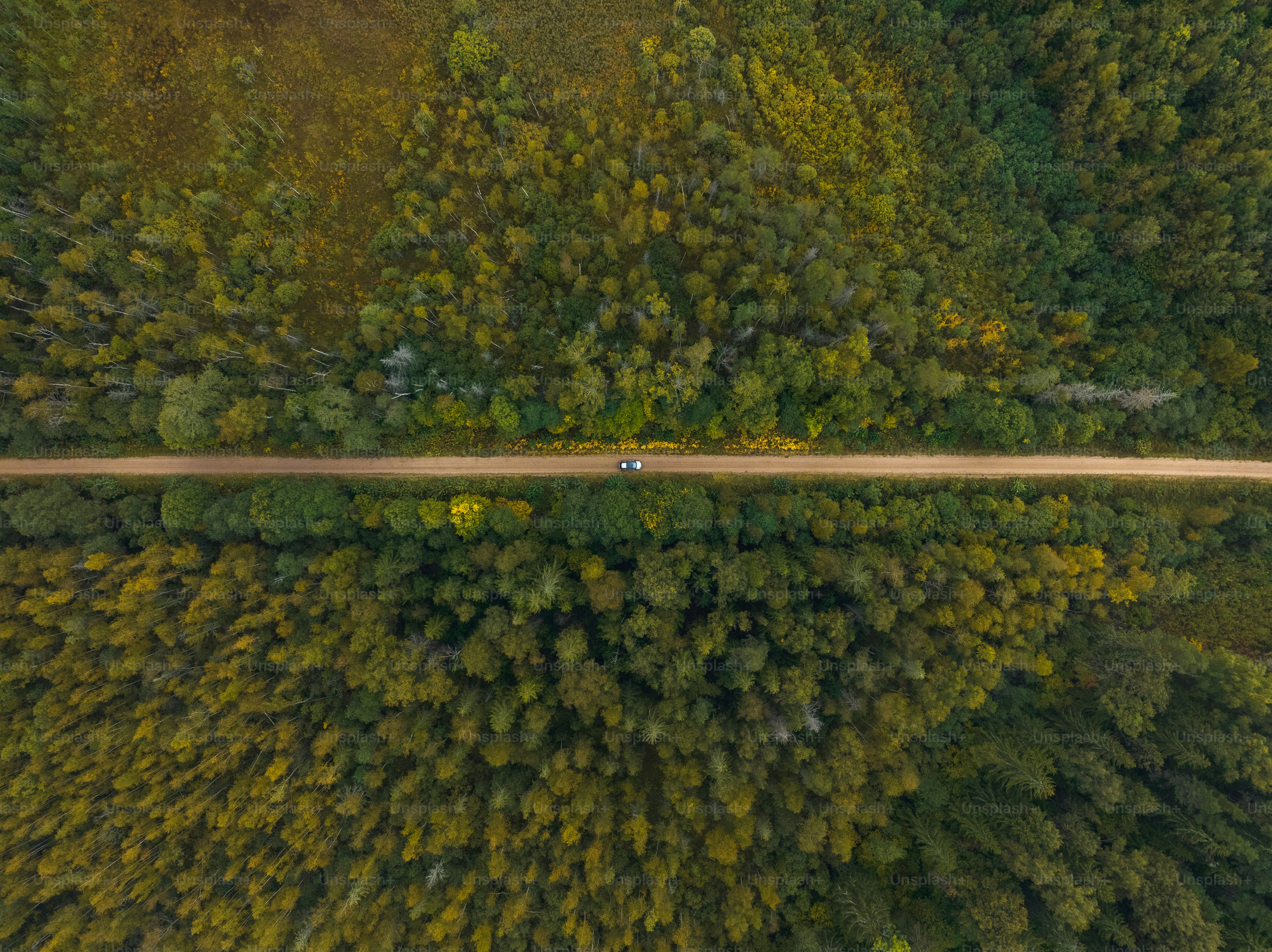 Foto zum Thema Eine Luftaufnahme einer Straße mitten in einem Wald ...