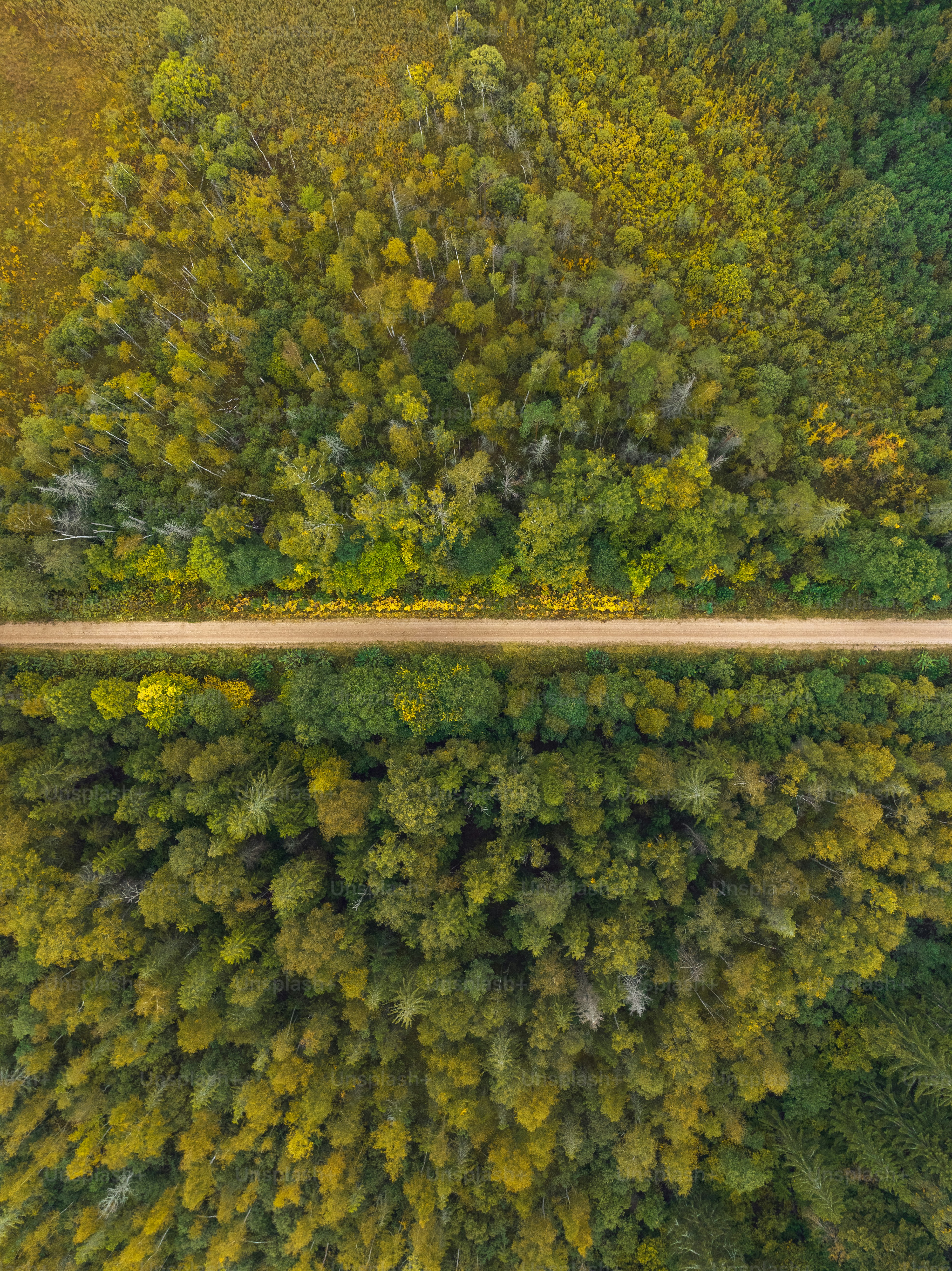 Vue aérienne d’une route au milieu d’une forêt photo – Des bois Photo ...
