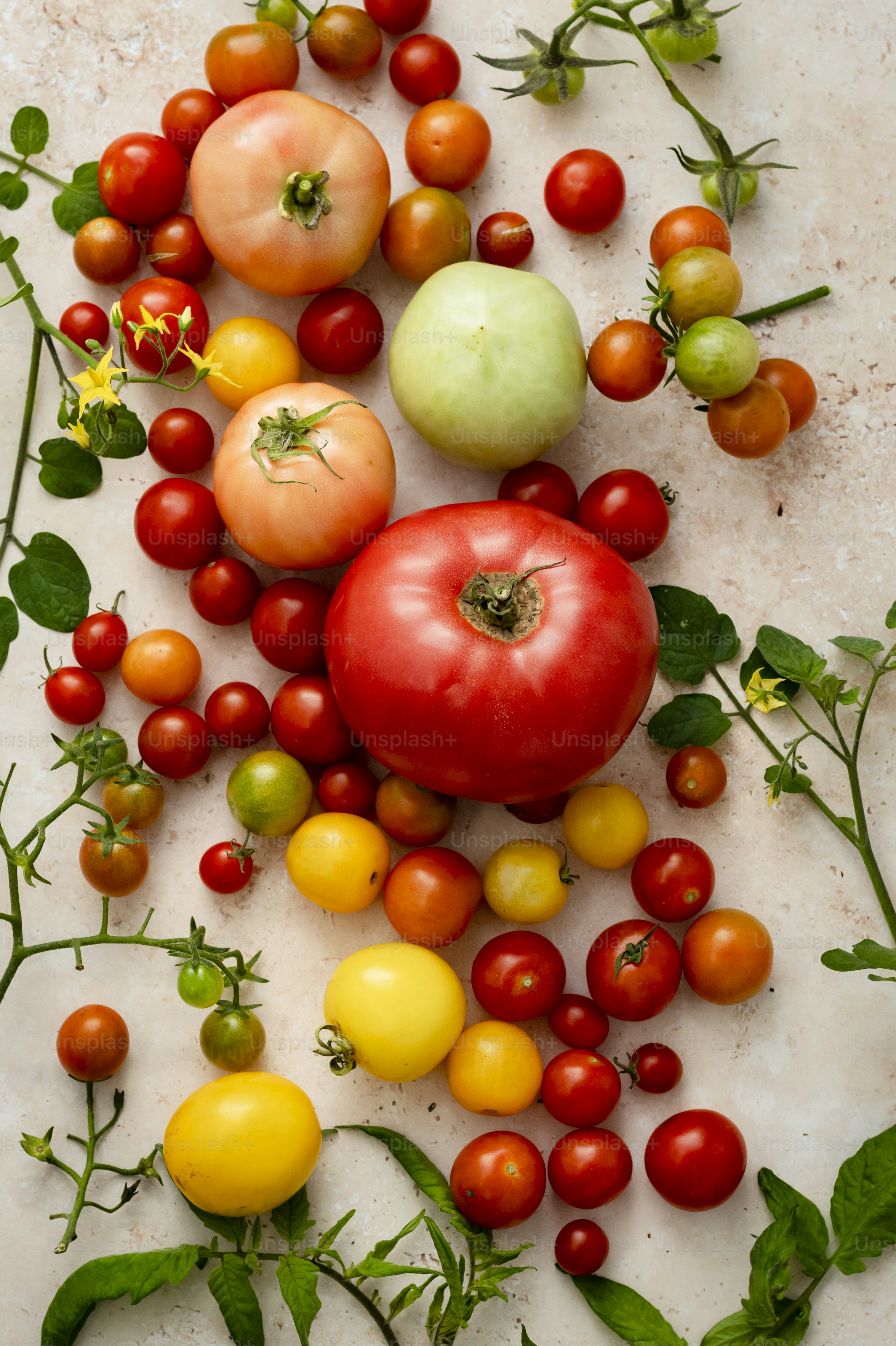 Un bouquet de différents types de tomates sur une table photo – Image ...