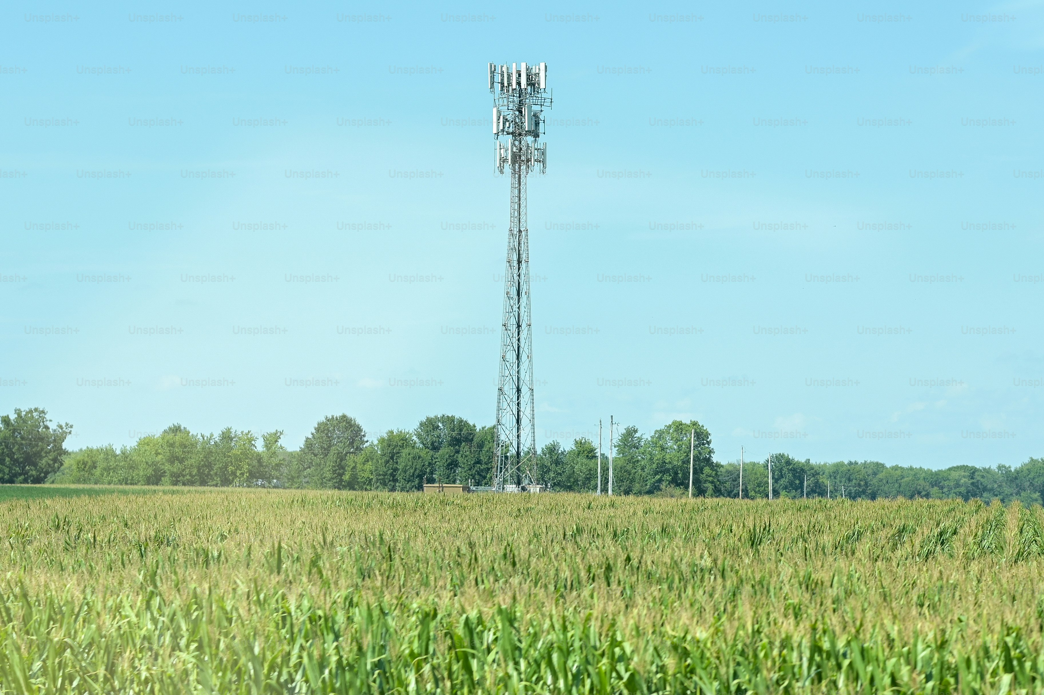 A cell phone tower in a field of corn photo – 5g Image on Unsplash