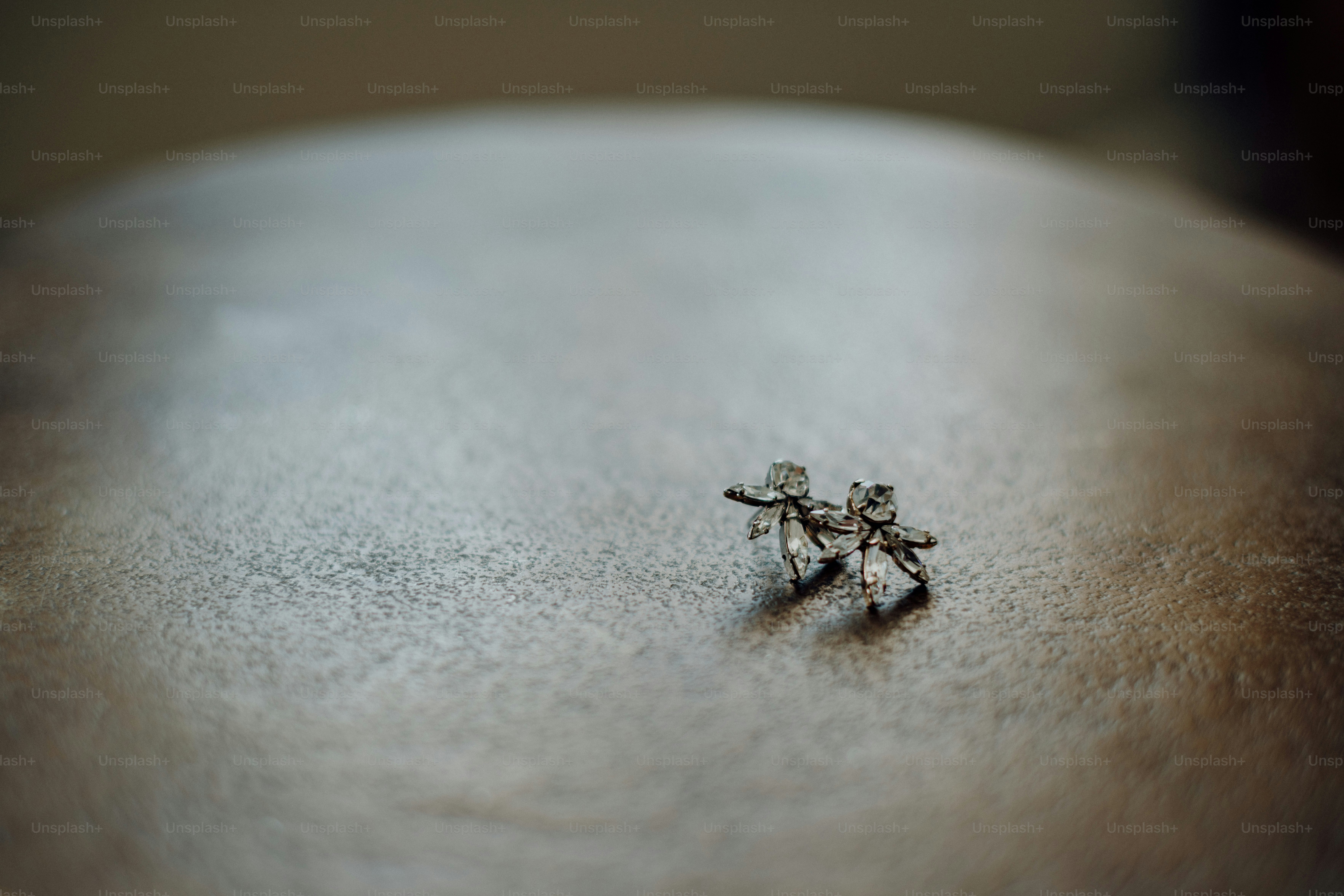 Un pequeño insecto sentado encima de una mesa foto – Imagen de Joyería ...