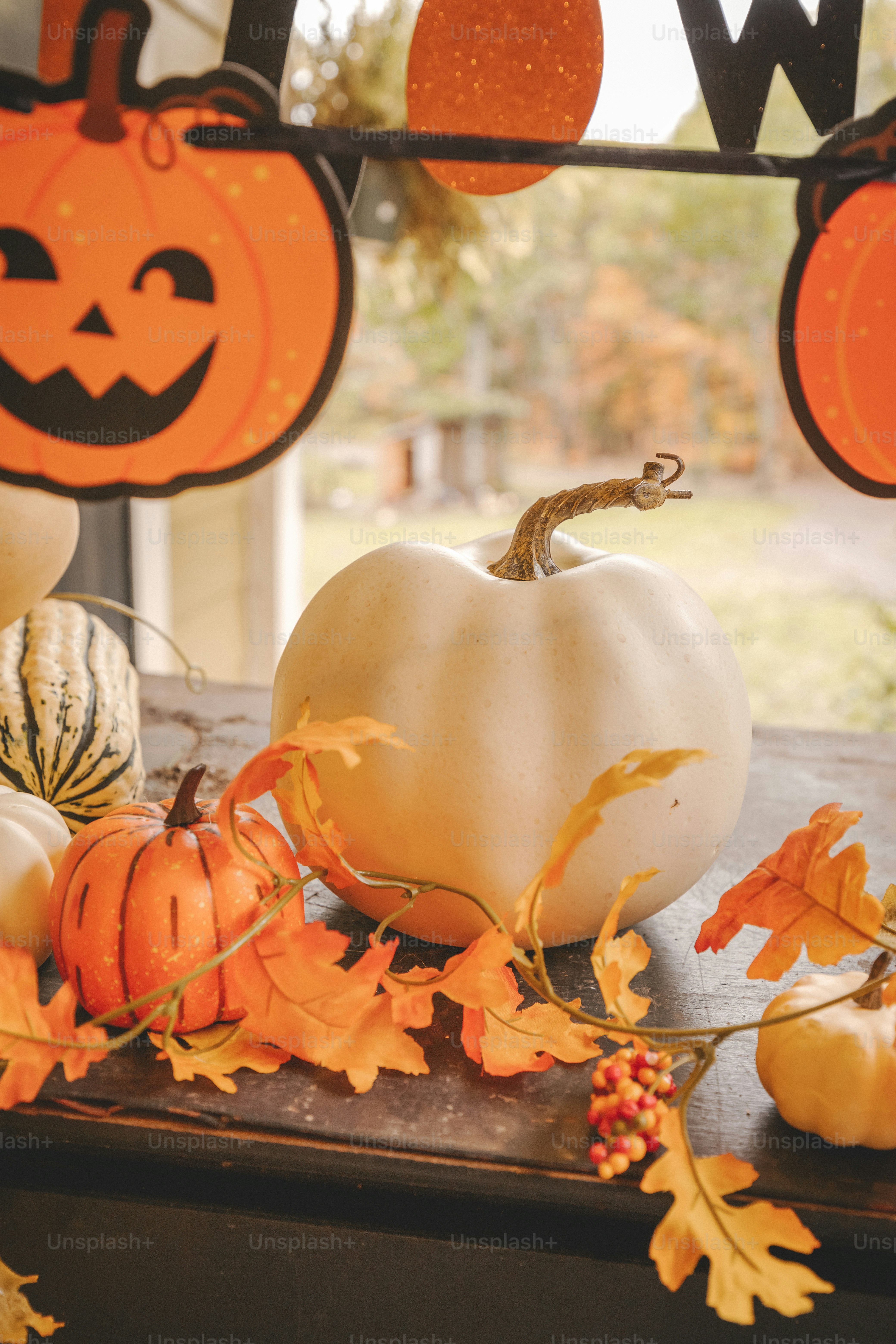 A display of pumpkins and gourds on a table photo – Trick or treat ...