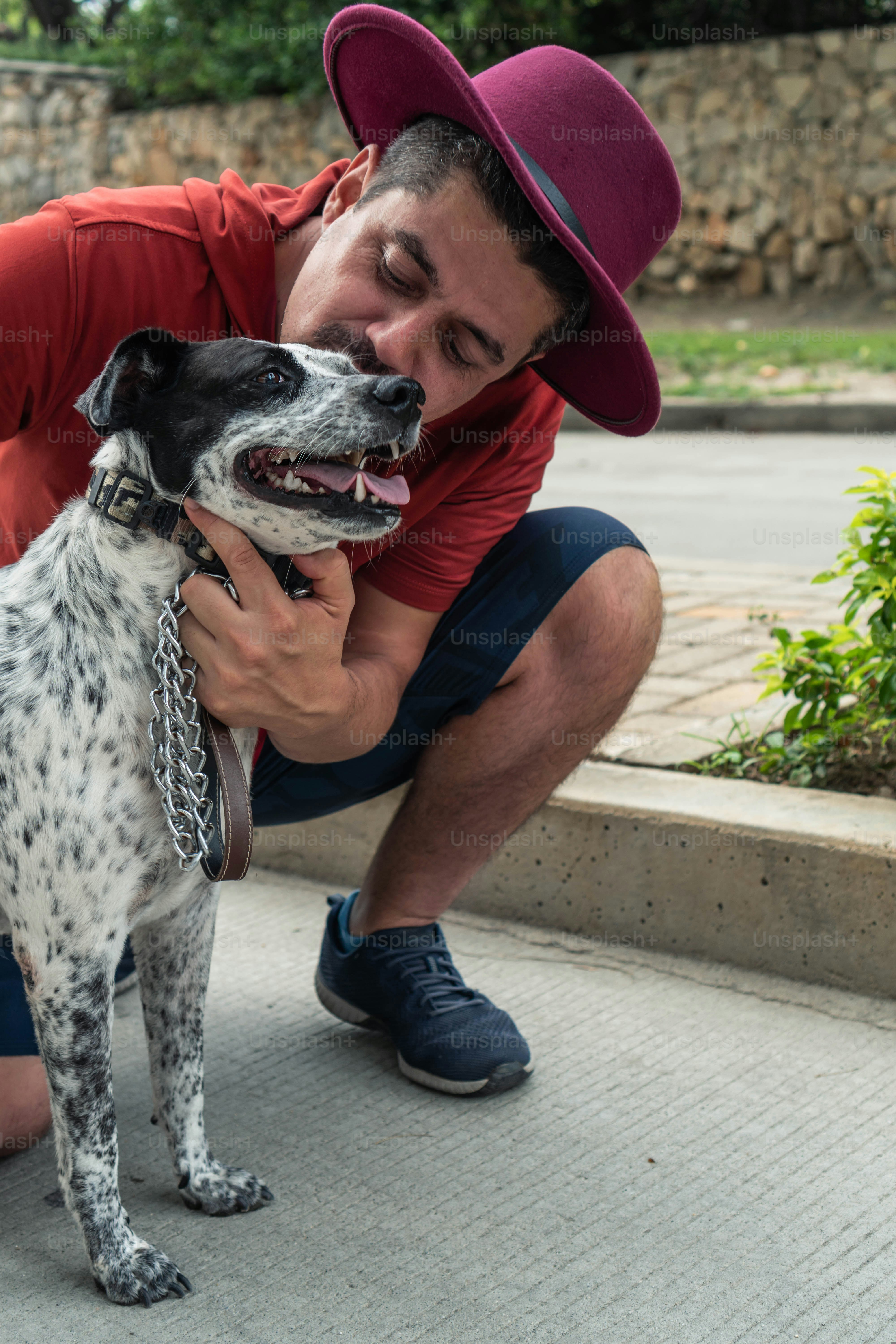 Hombre besando a su perro al aire libre foto – Imagen de Amistad en ...