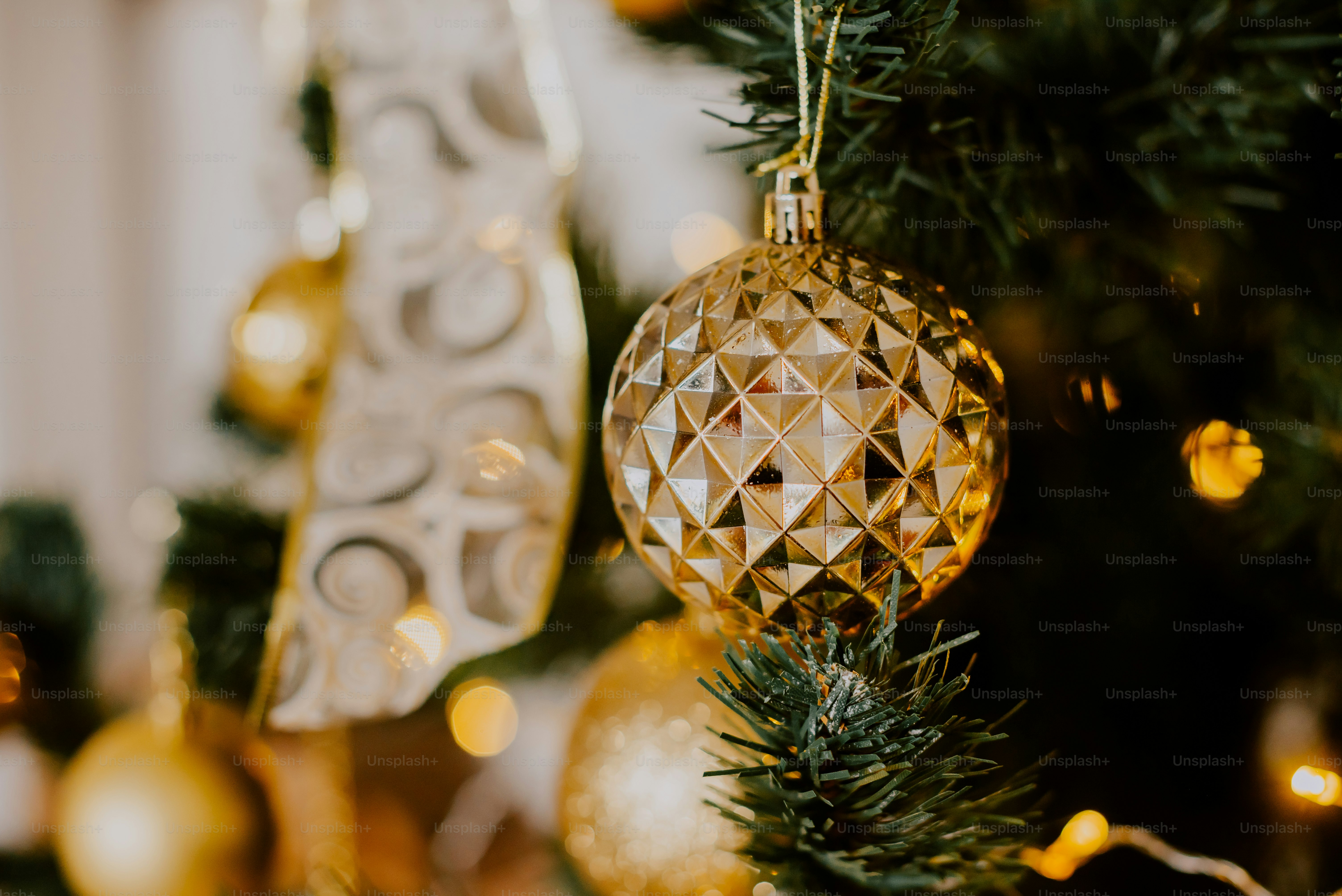 Twinkle Pictures | Download Free Images on Unsplash