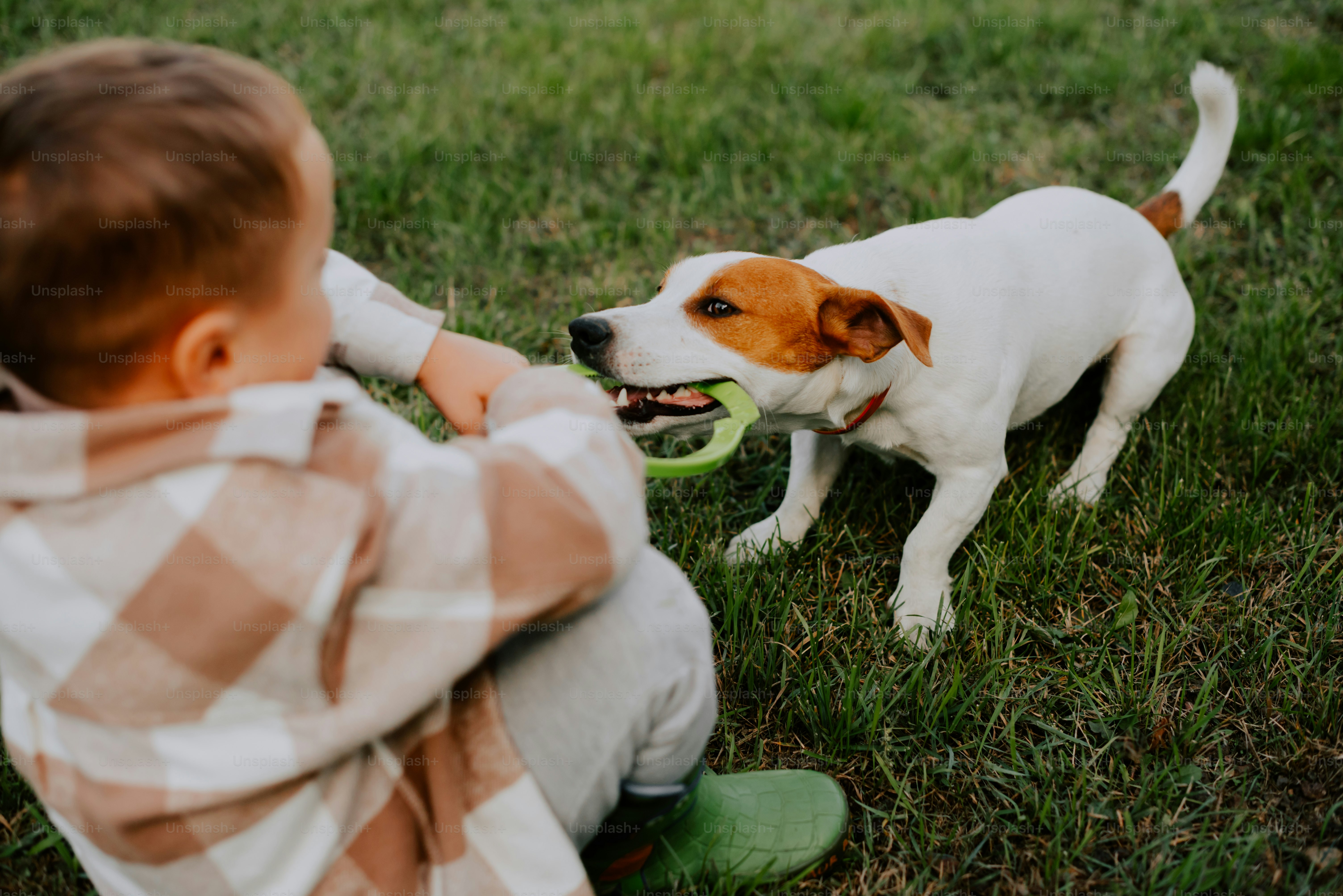 Fetch Pictures | Download Free Images on Unsplash