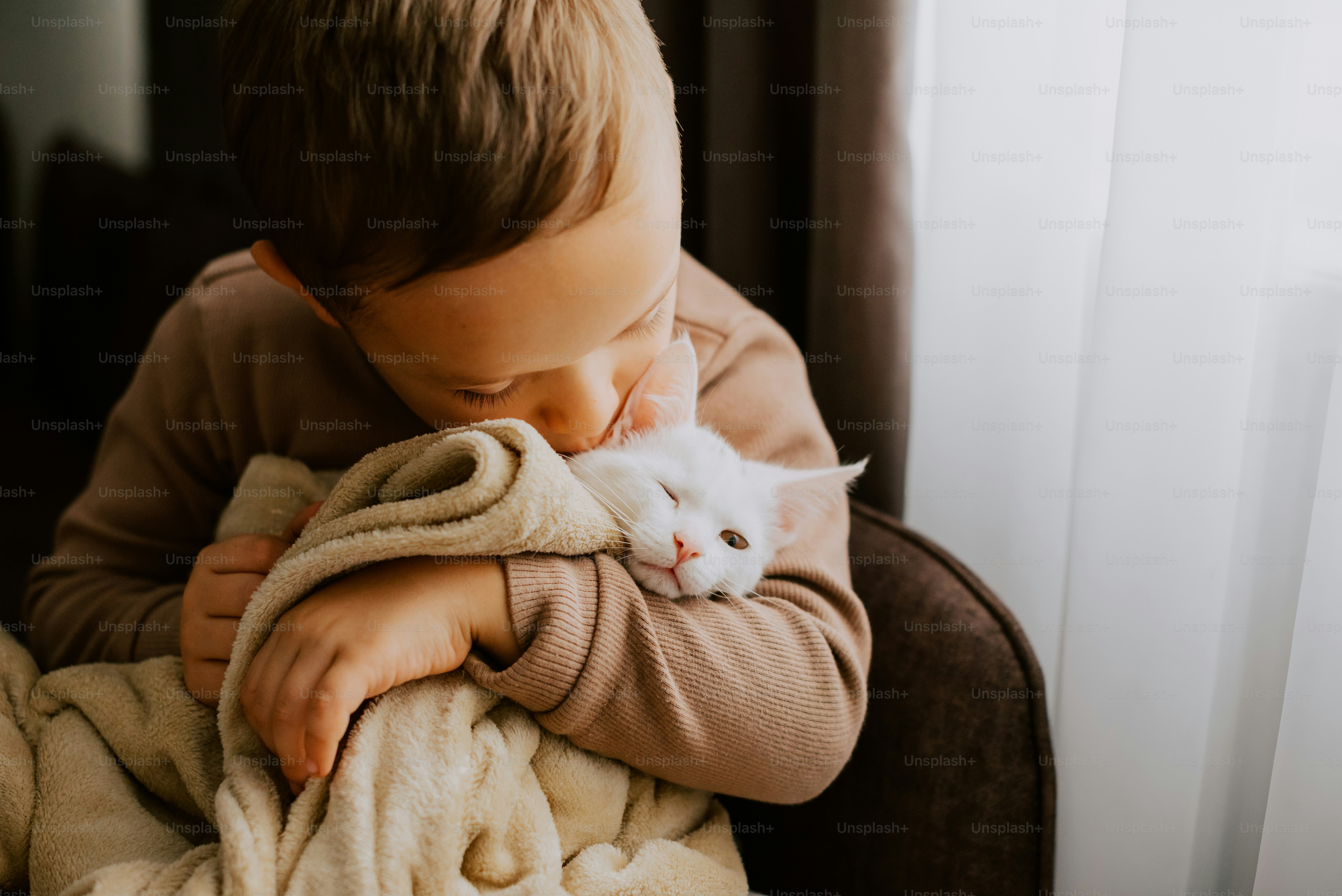 A young boy holding a cat wrapped in a blanket photo – Funny cats Image ...