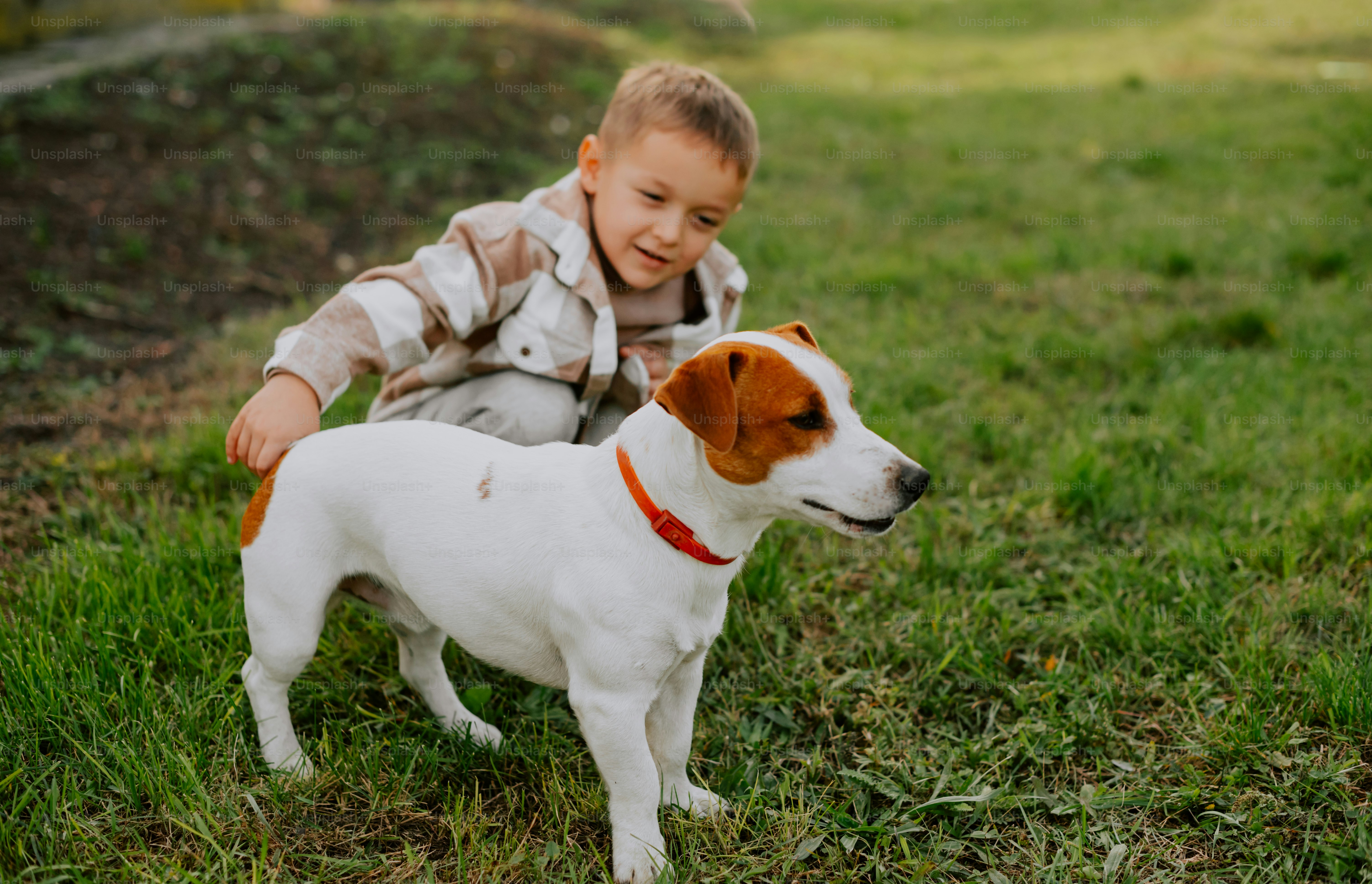 A young boy kneeling down next to a white and brown dog photo – Animals ...