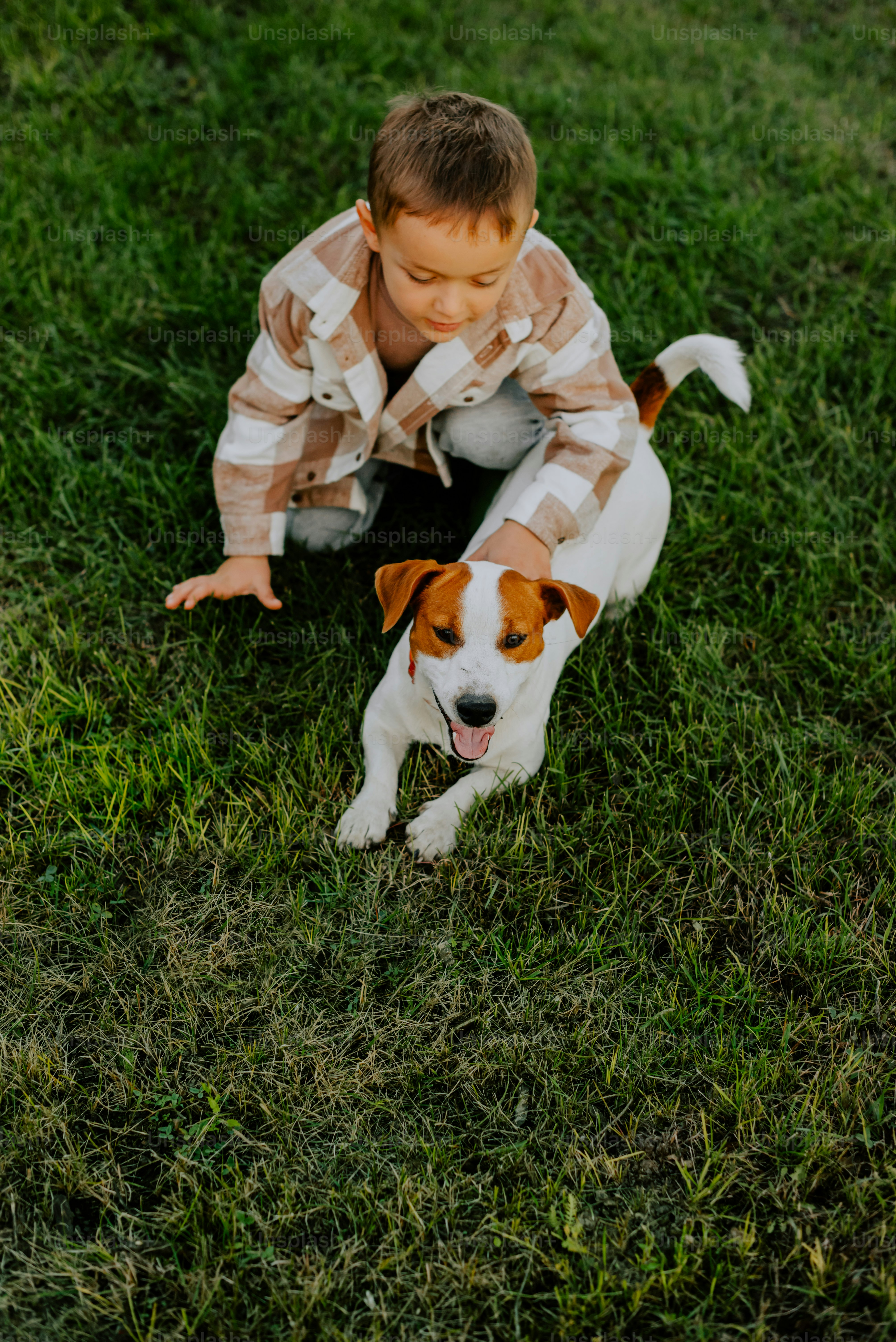 A little boy playing with a dog in the grass photo – Outdoors Image on ...