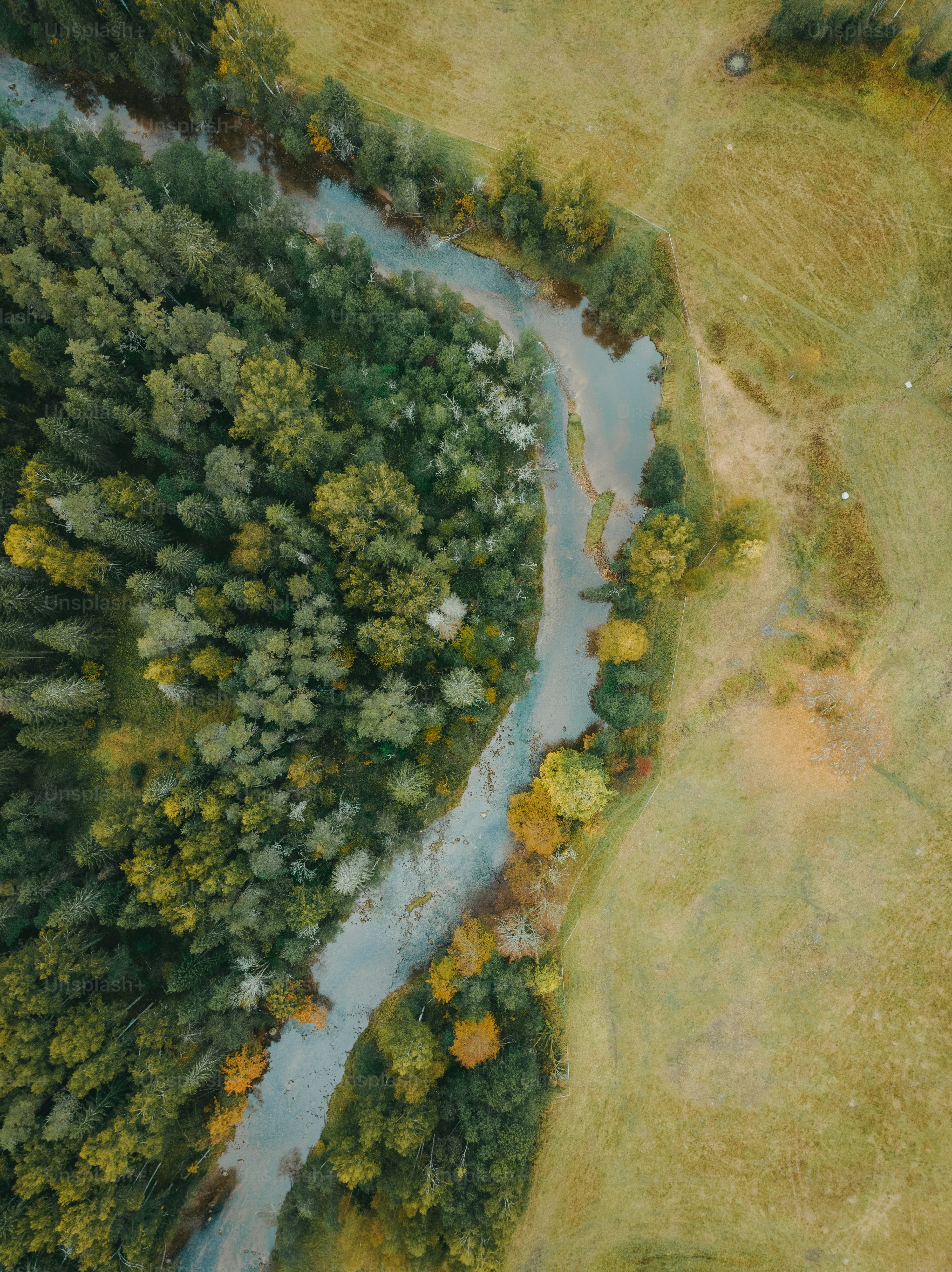An aerial view of a river running through a forest photo – Island Image ...