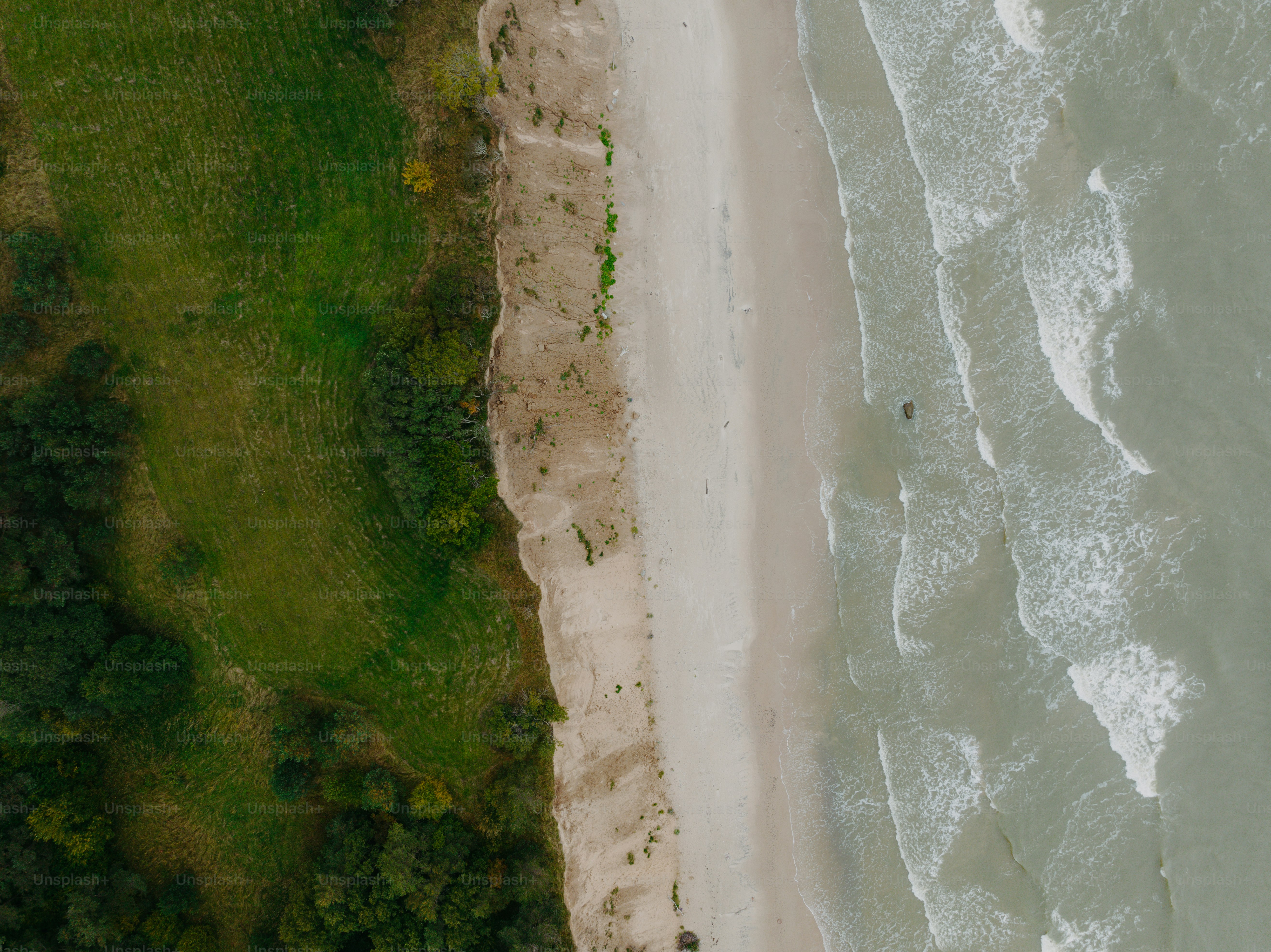 Foto Una vista aérea de una playa y una zona de césped – Naturaleza ...