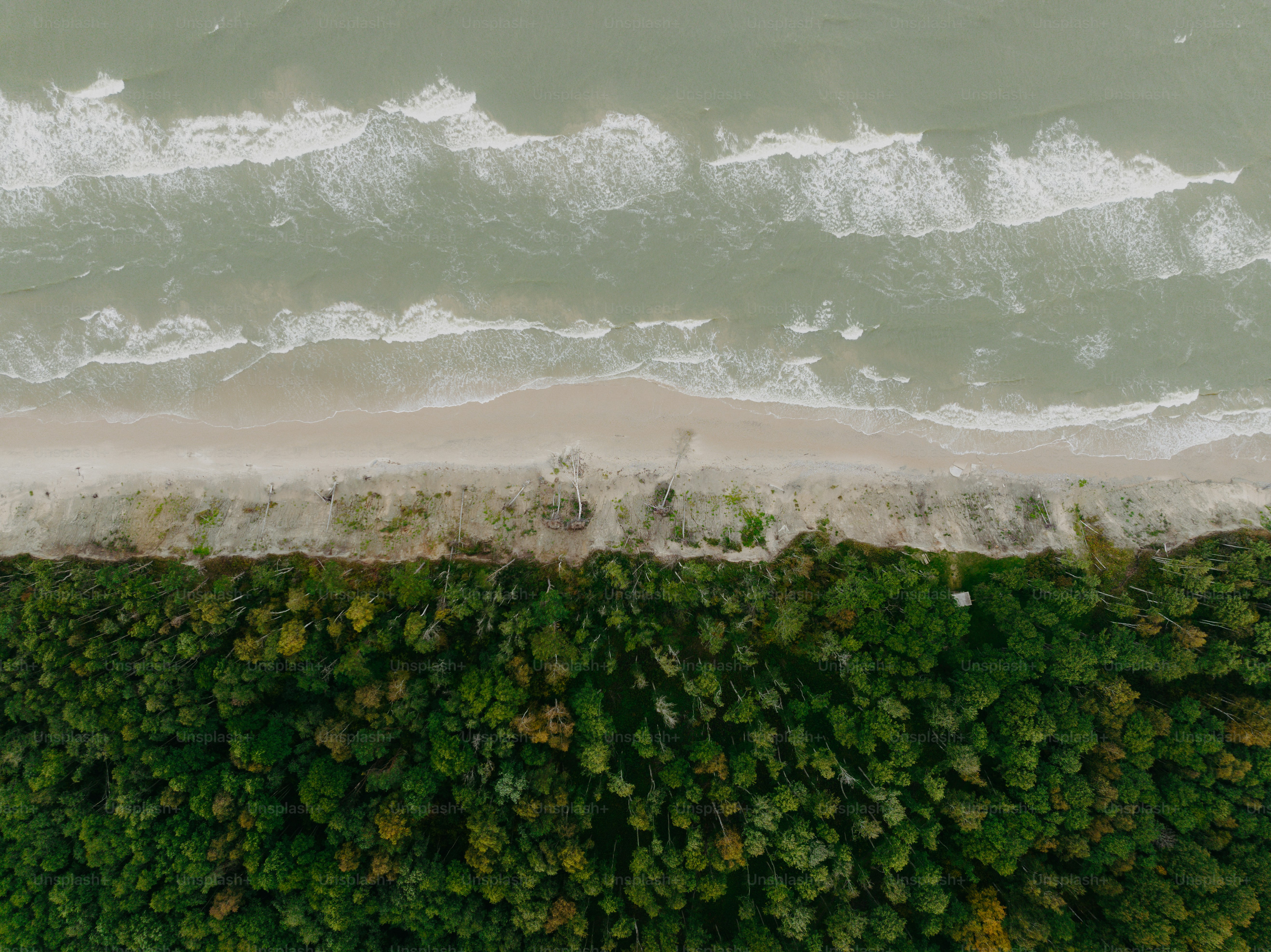 An aerial view of a beach and ocean photo – Shoreline Image on Unsplash