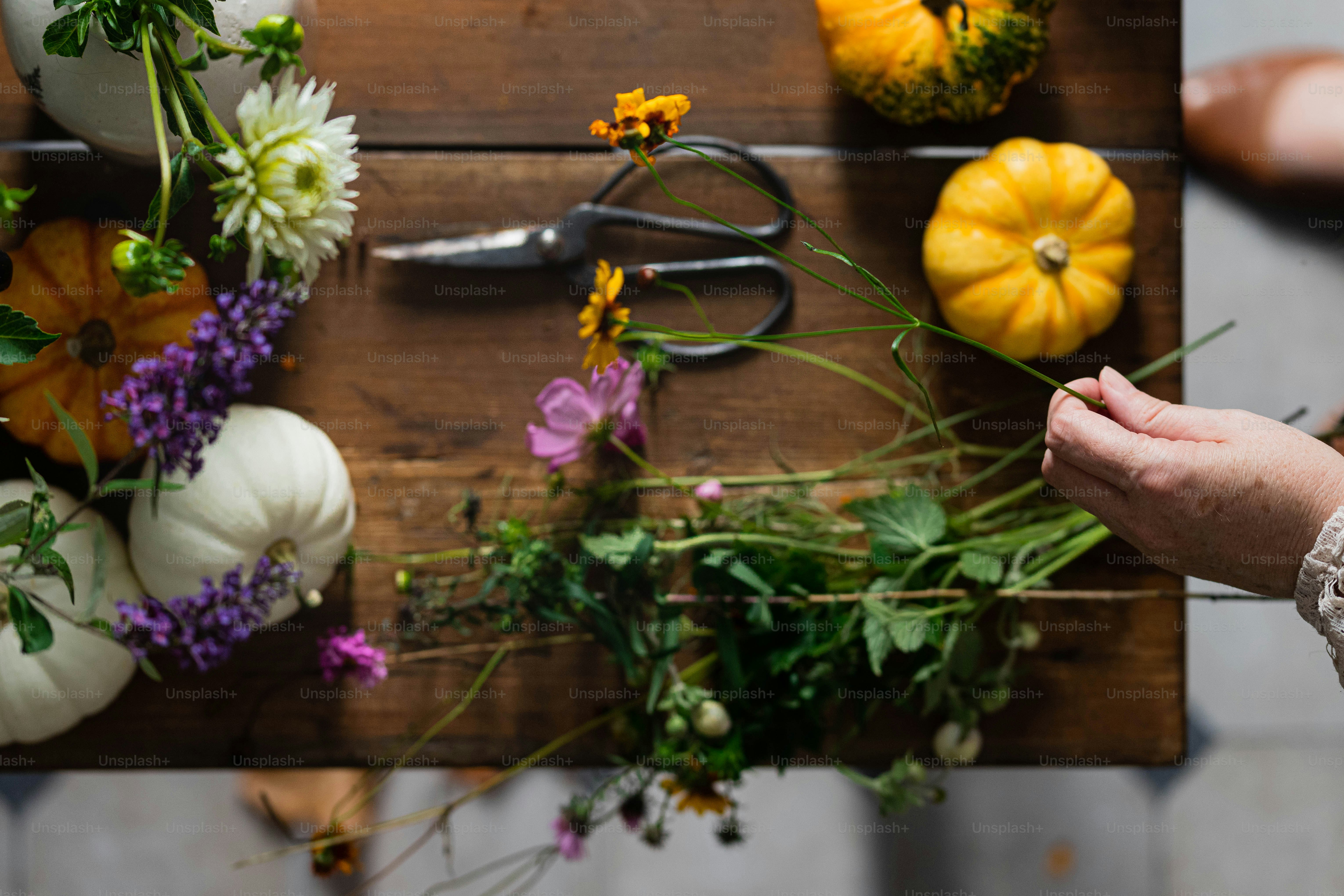 A person cutting flowers with a pair of scissors photo – Autumn Image ...