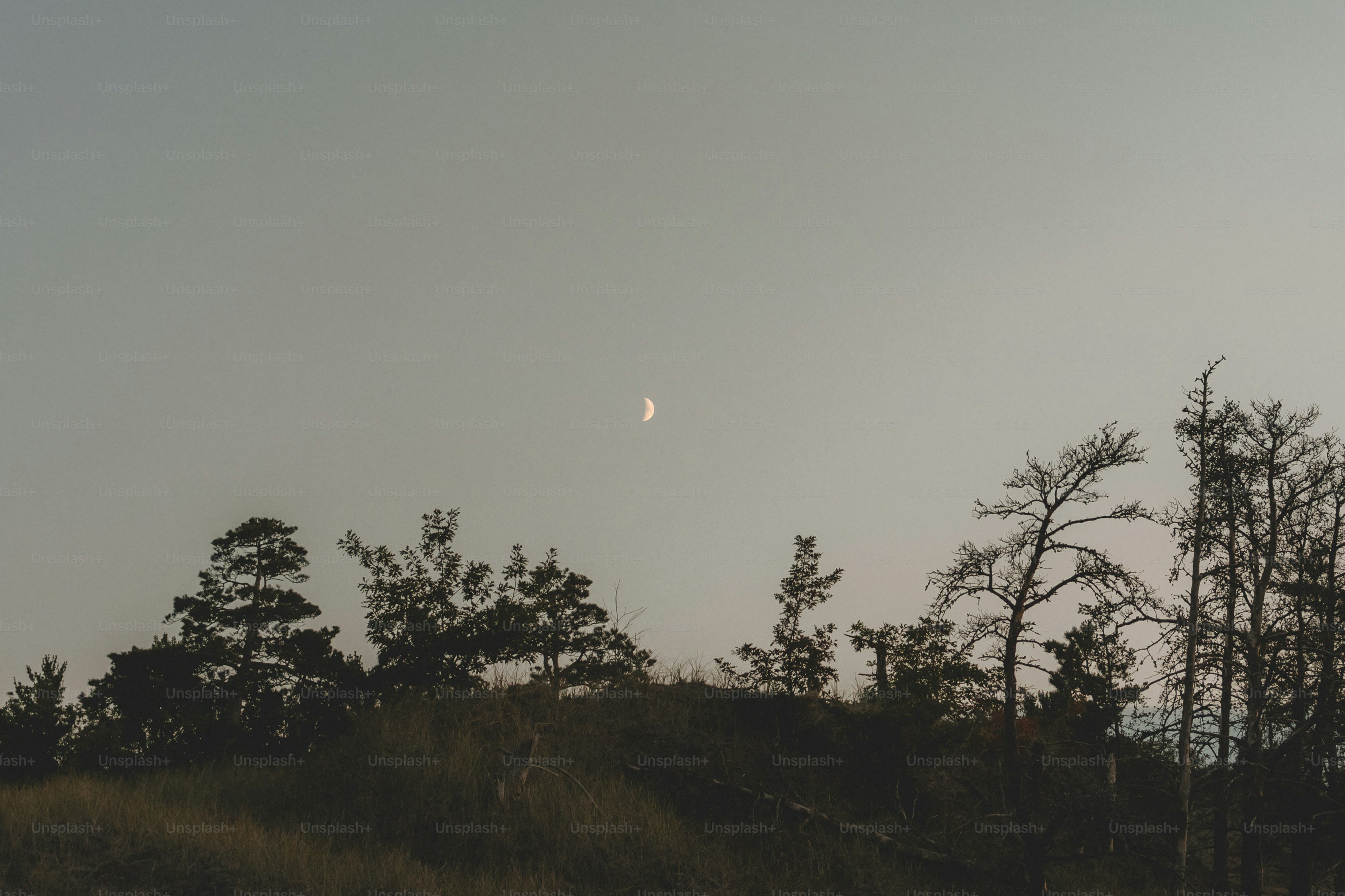 30k+ Moonrise Pictures | Download Free Images on Unsplash