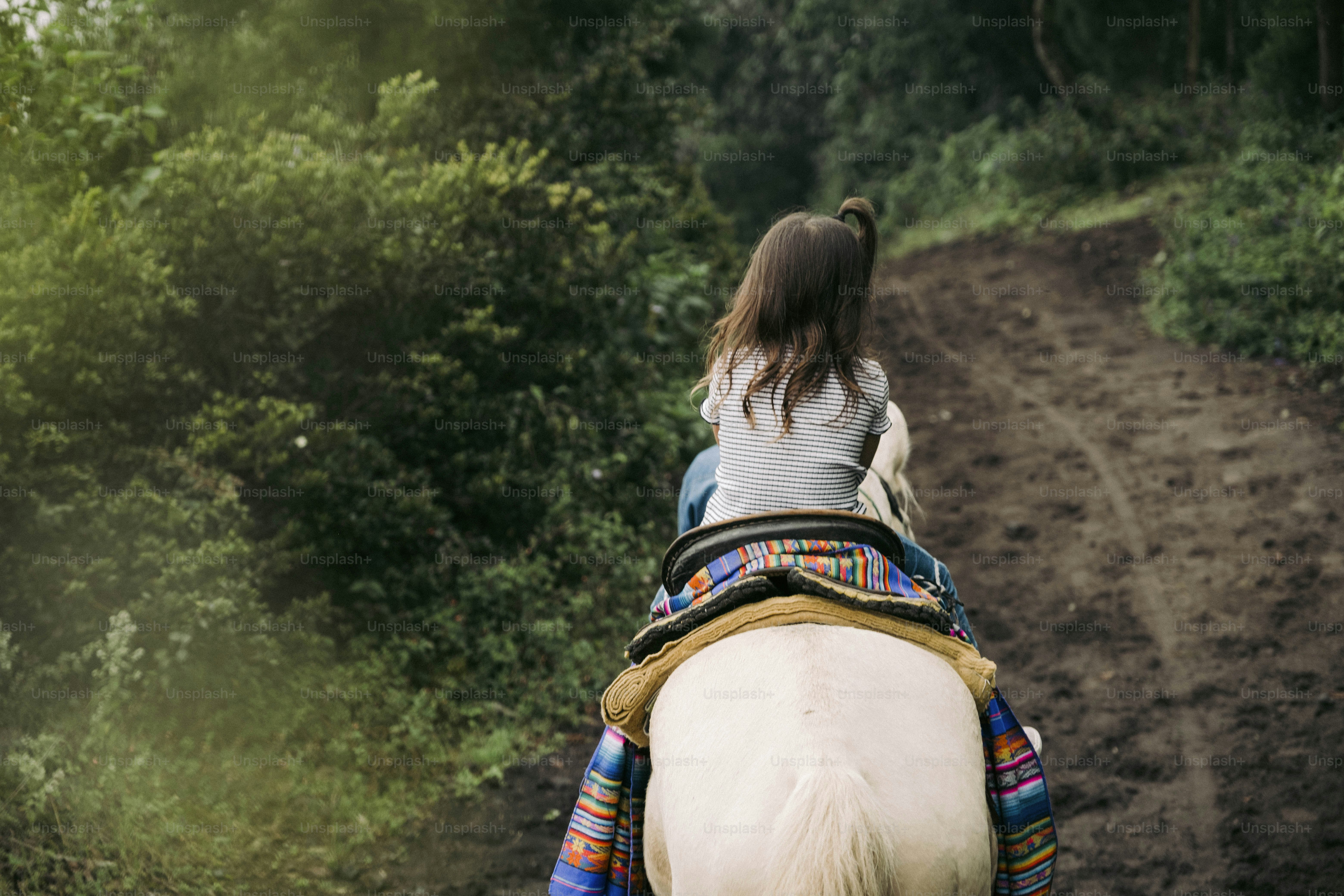 100+ Horse Riding Pictures [HD] | Download Free Images on Unsplash