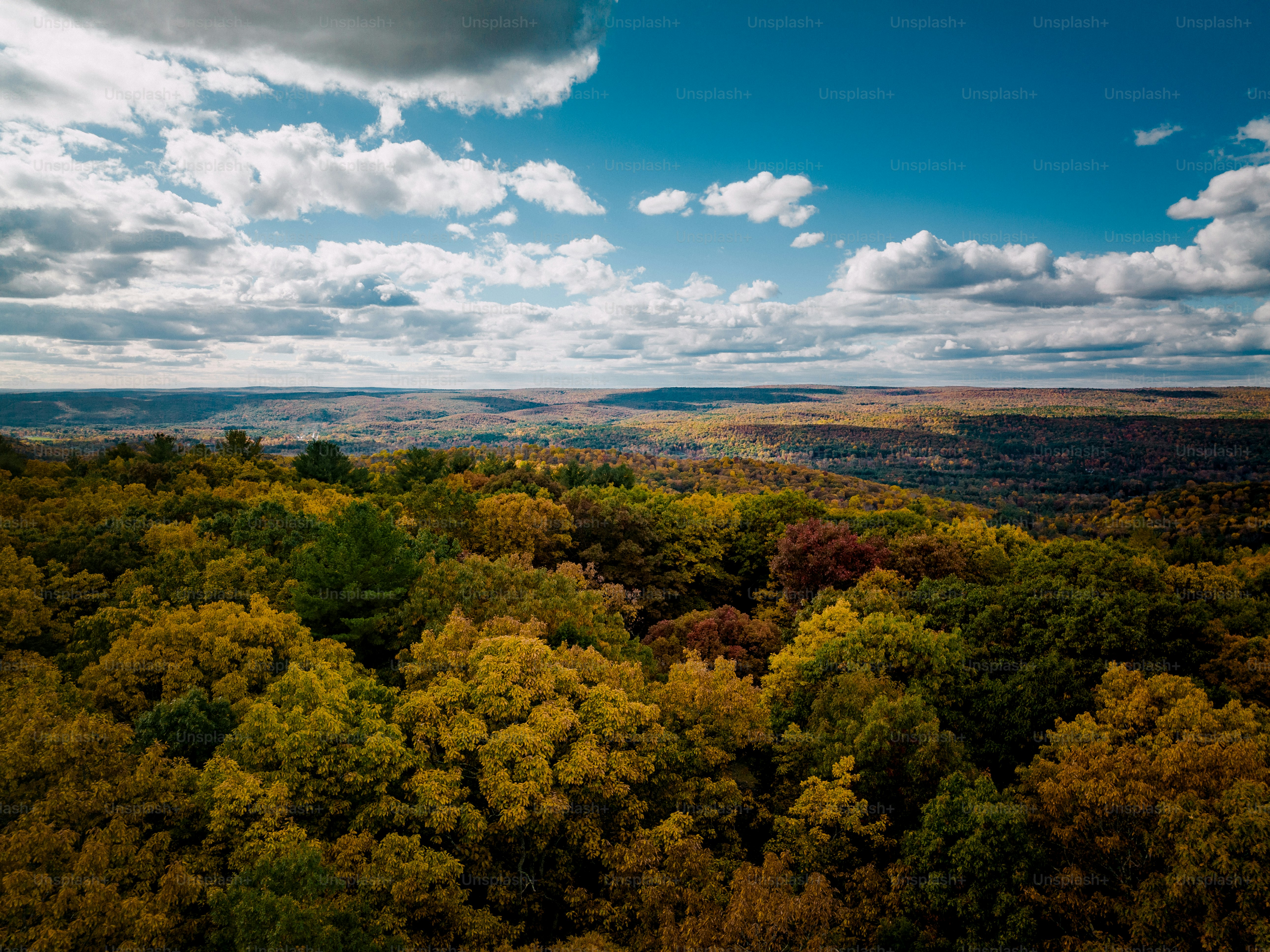 An aerial view of a forest with lots of trees photo – Blue sky clouds ...