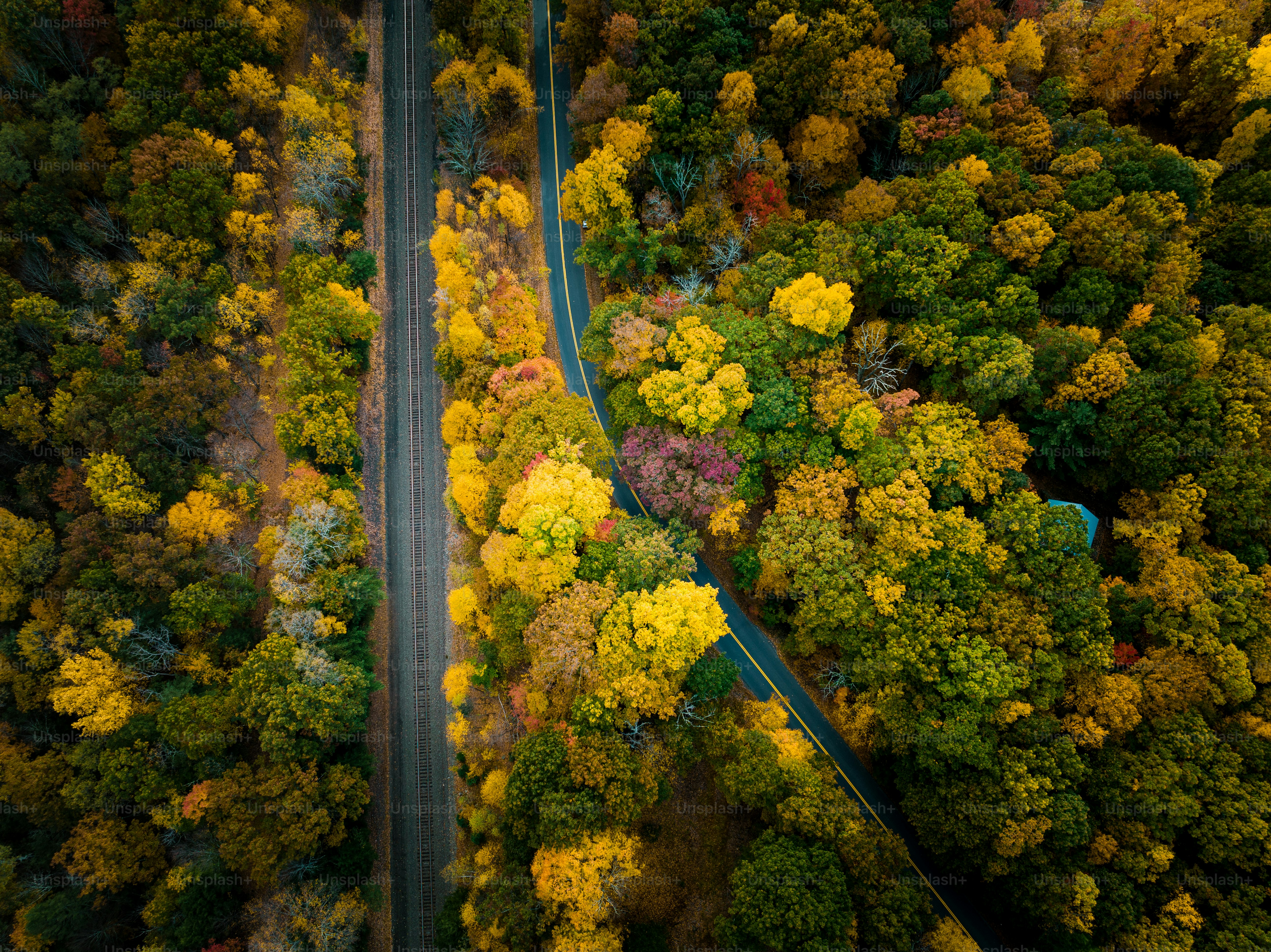 An aerial view of a road surrounded by trees photo – Woodland Image on ...