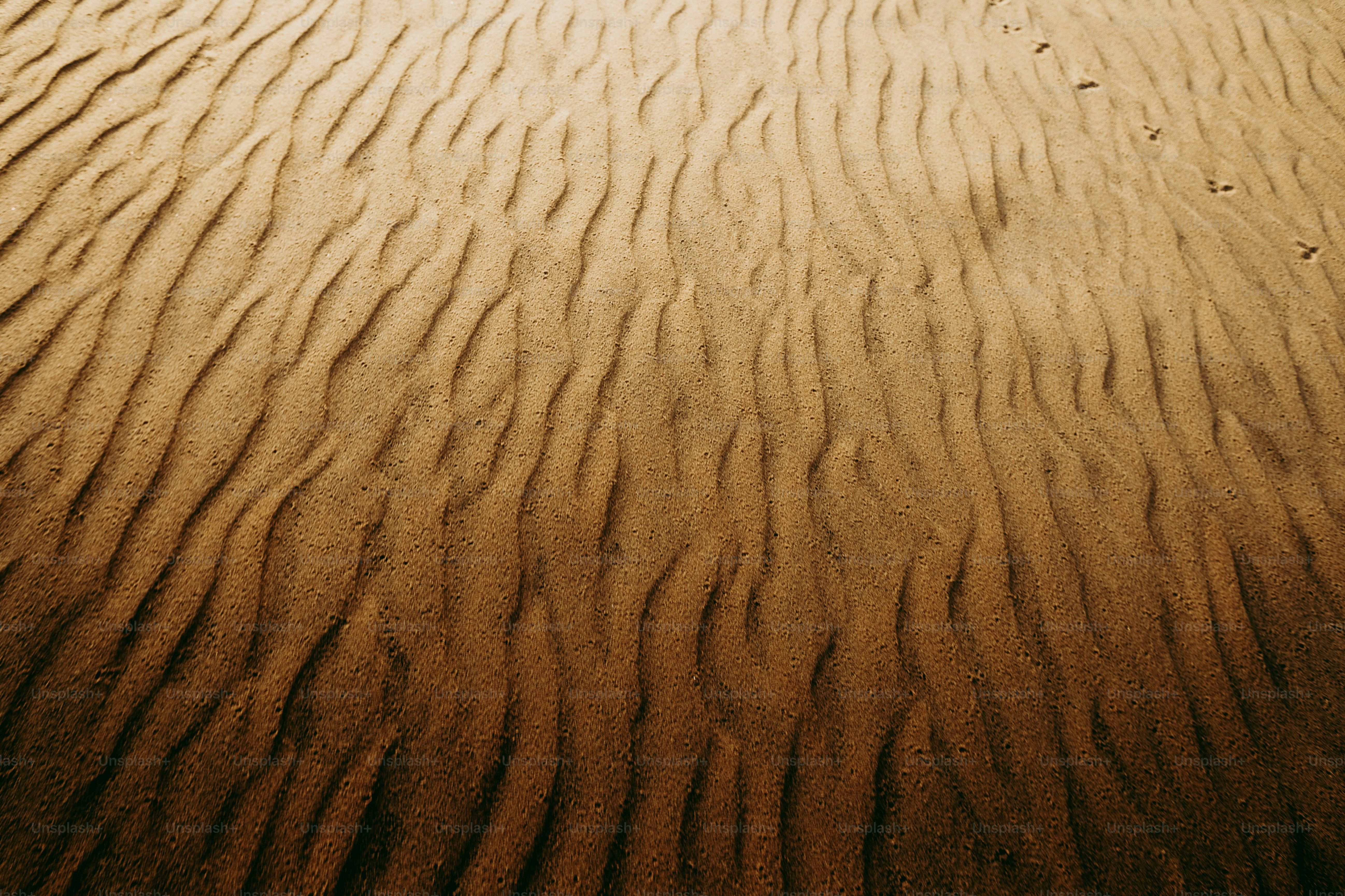 500+ Images de sable [HD] | Télécharger des images gratuites sur Unsplash