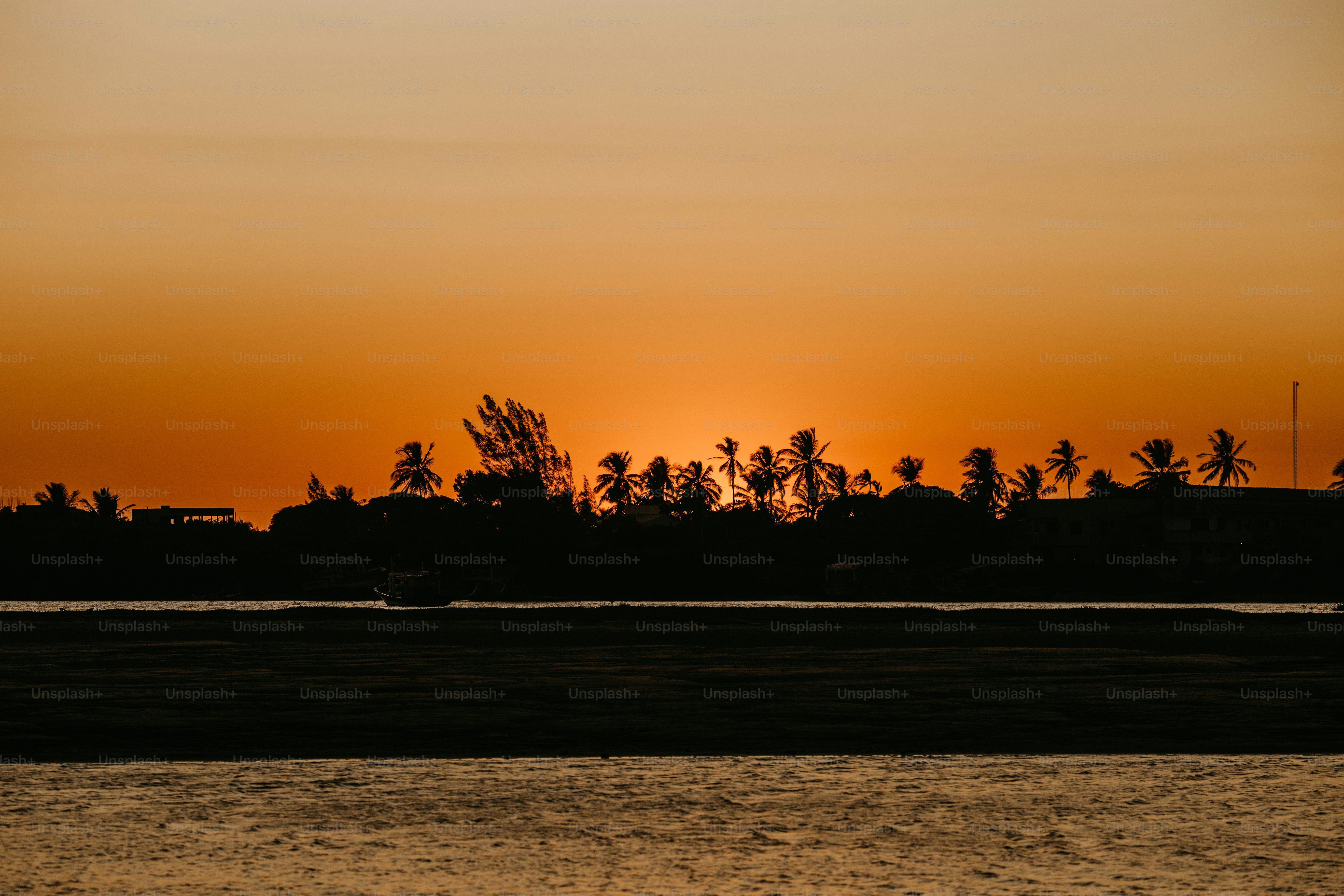 20+ Sunset Images [Stunning!] | Download Free Images on Unsplash