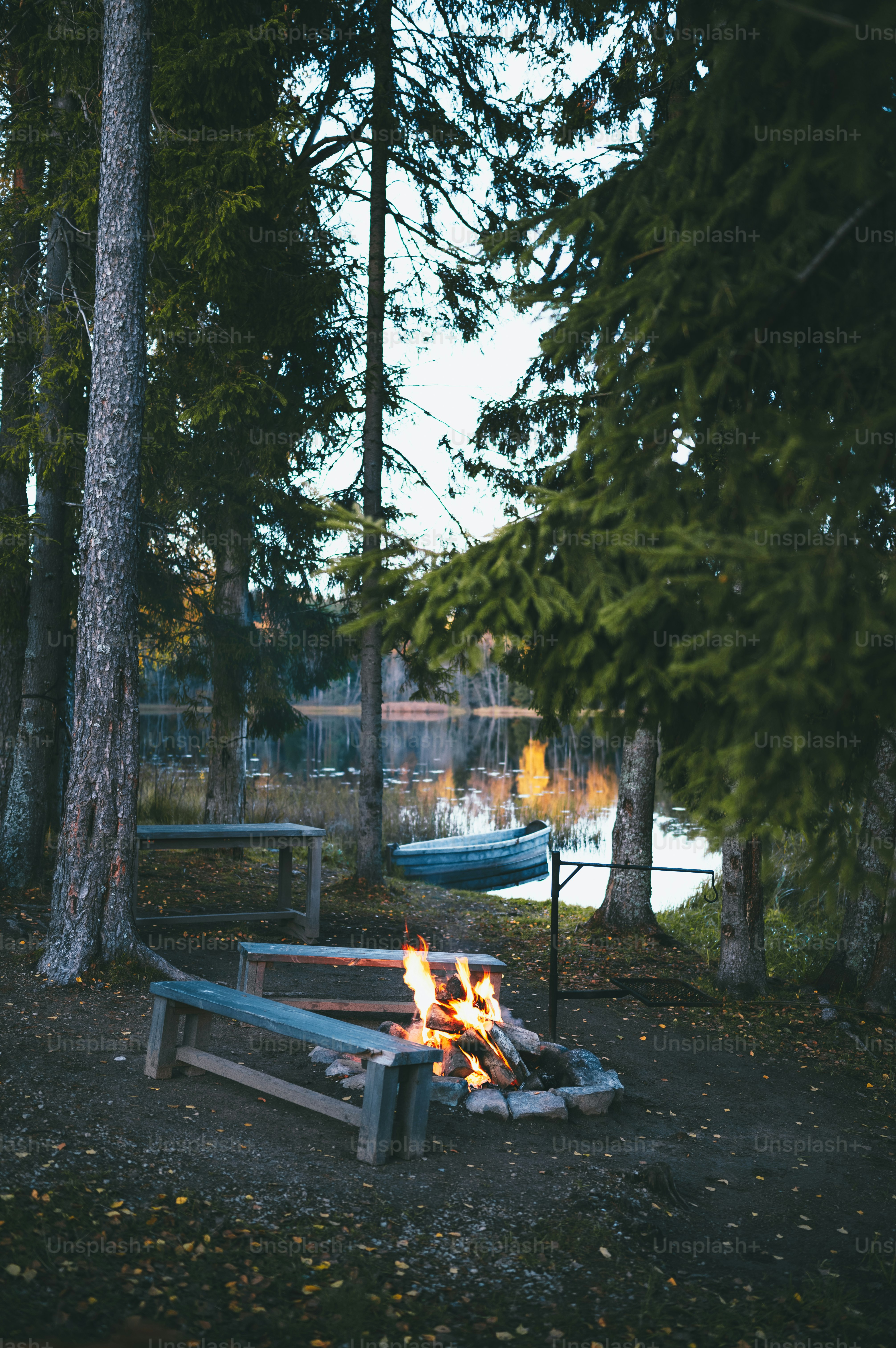 A fire pit in the middle of a forest photo – Wallpaper Image on Unsplash