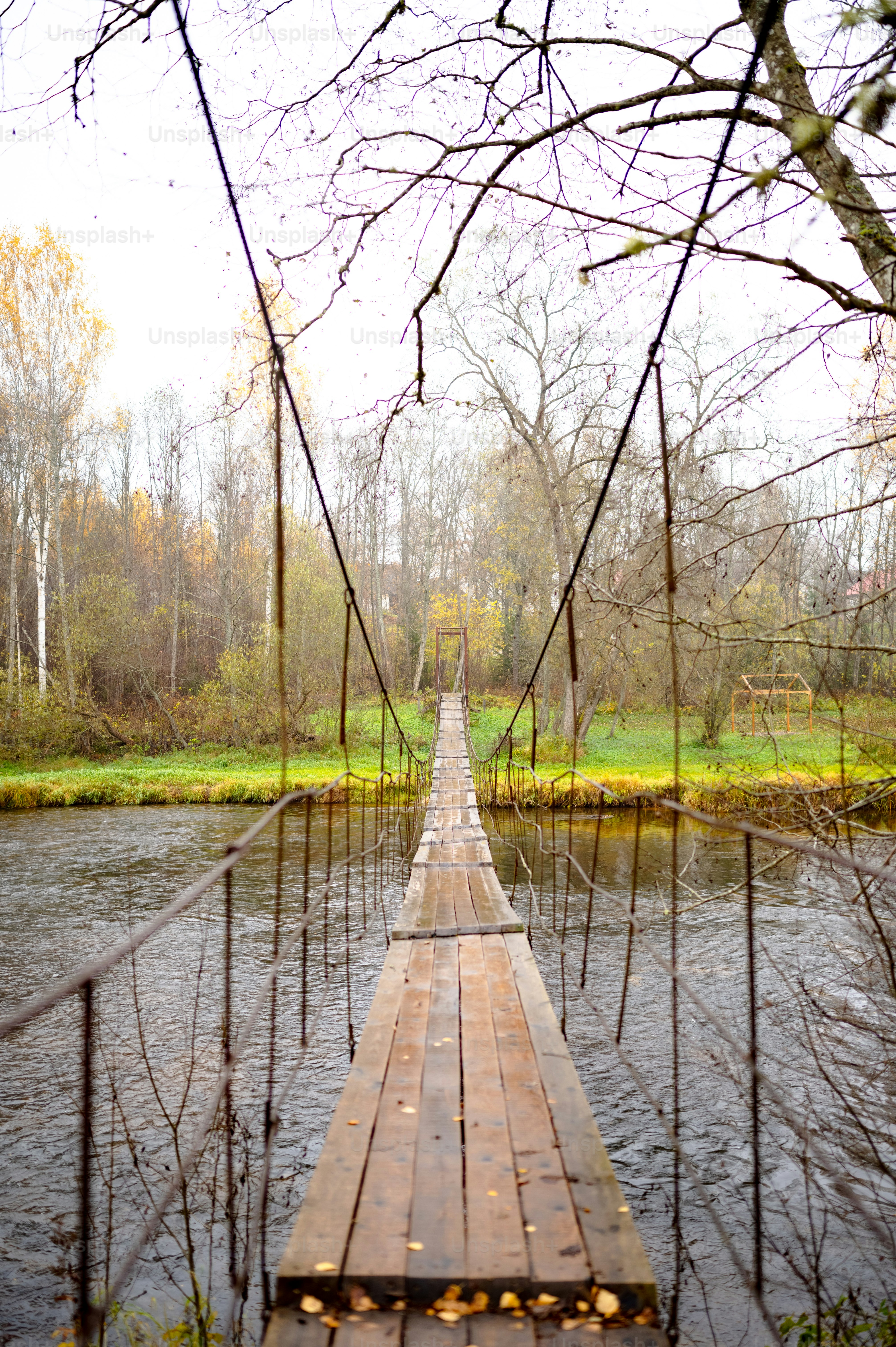 A wooden bridge over a river surrounded by trees photo – Wooden bridge ...