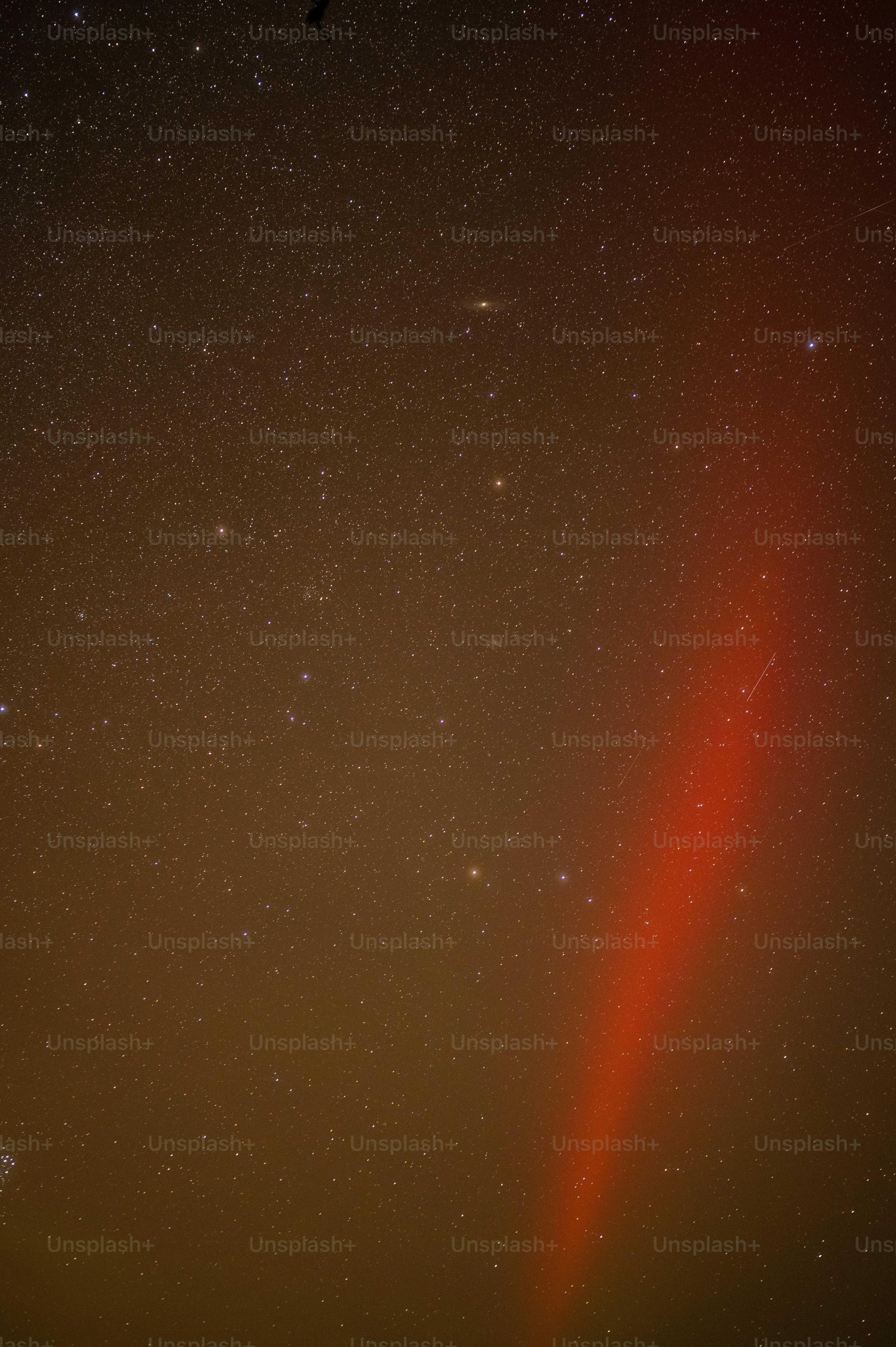 Foto zum Thema Ein Vogel, der mit Sternen am Nachthimmel fliegt – Bild ...