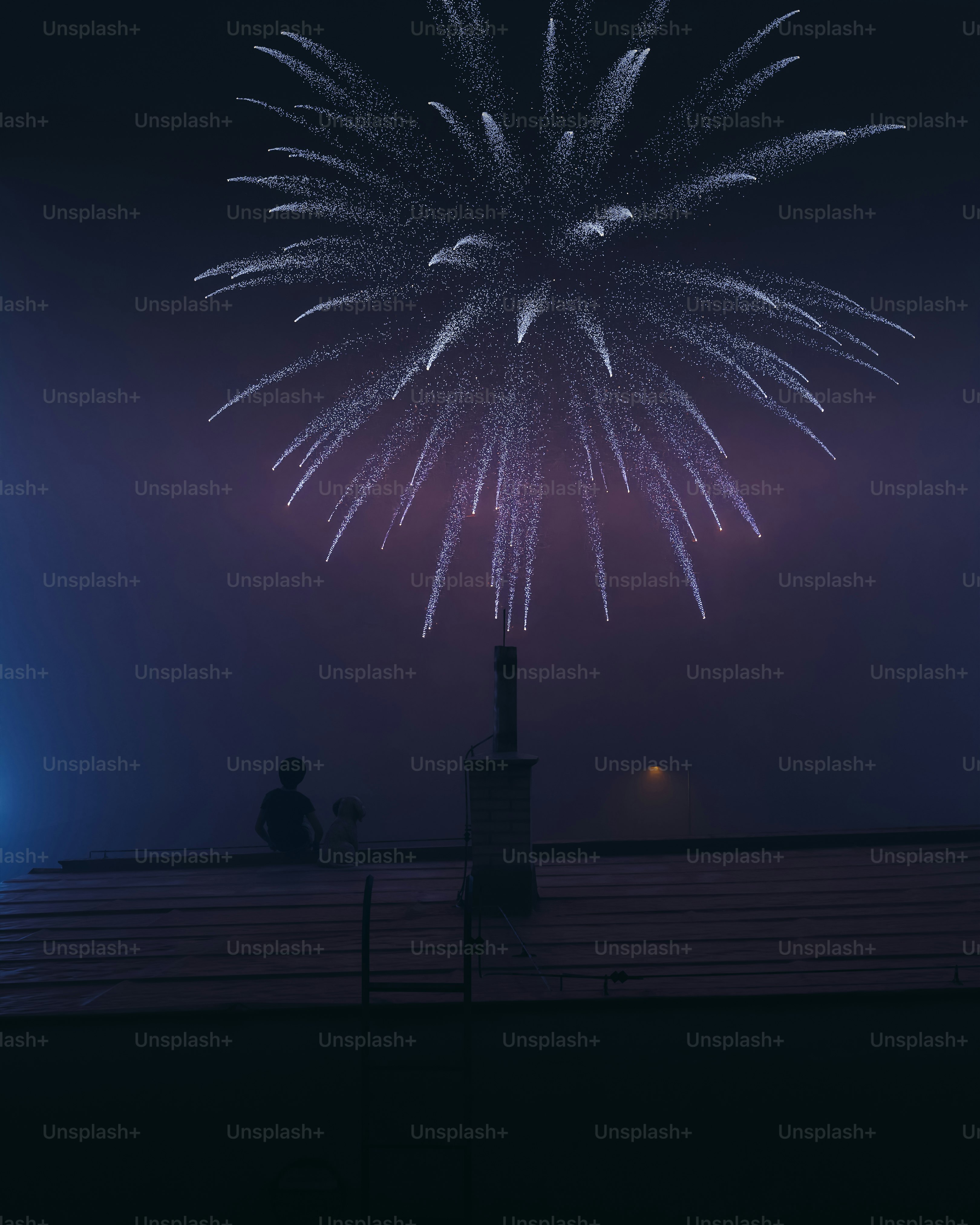 폭죽 사진 | Unsplash에서 무료 이미지 다운로드