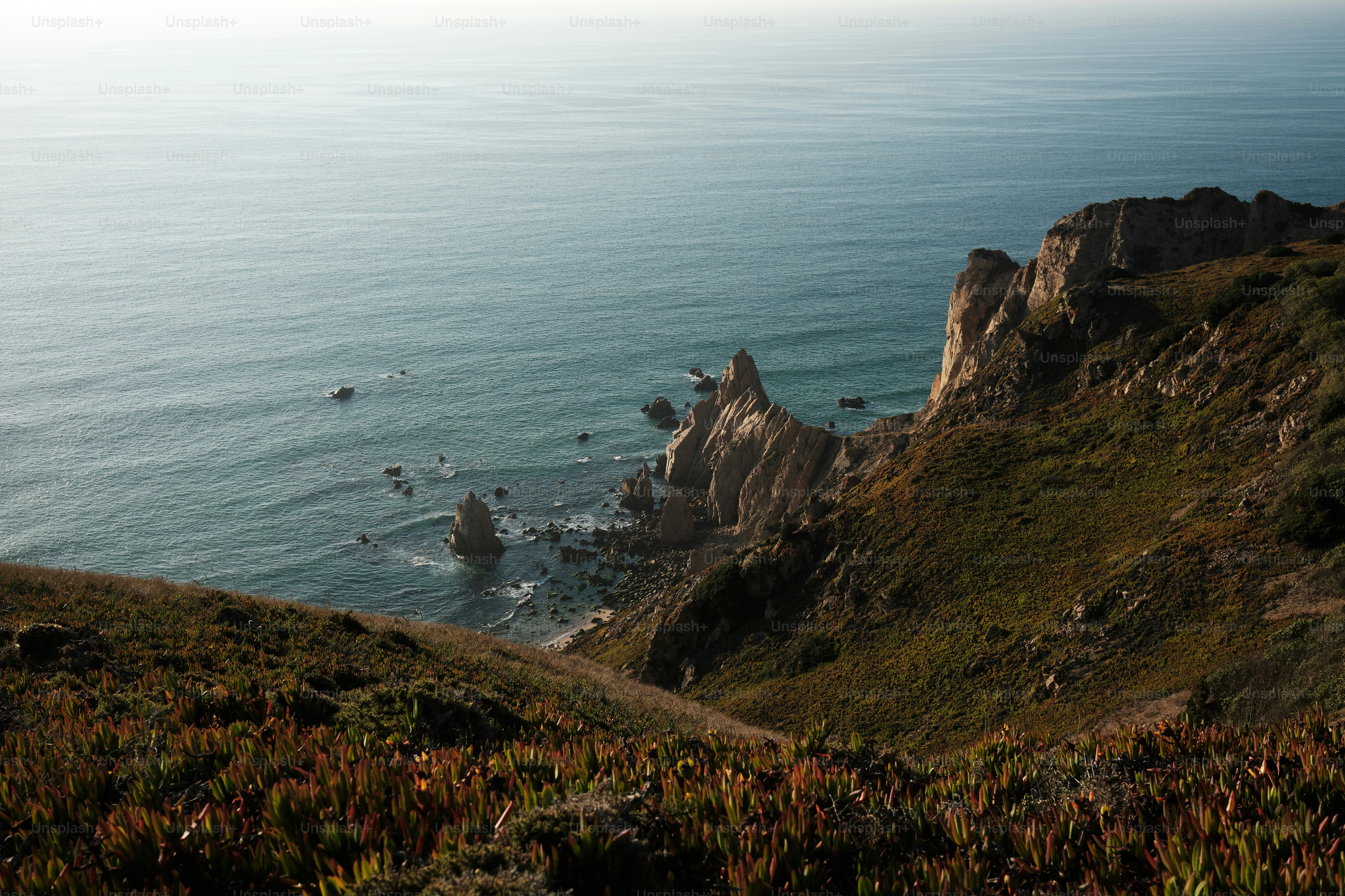 A view of a beach from a cliff photo – Portugal beach Image on Unsplash