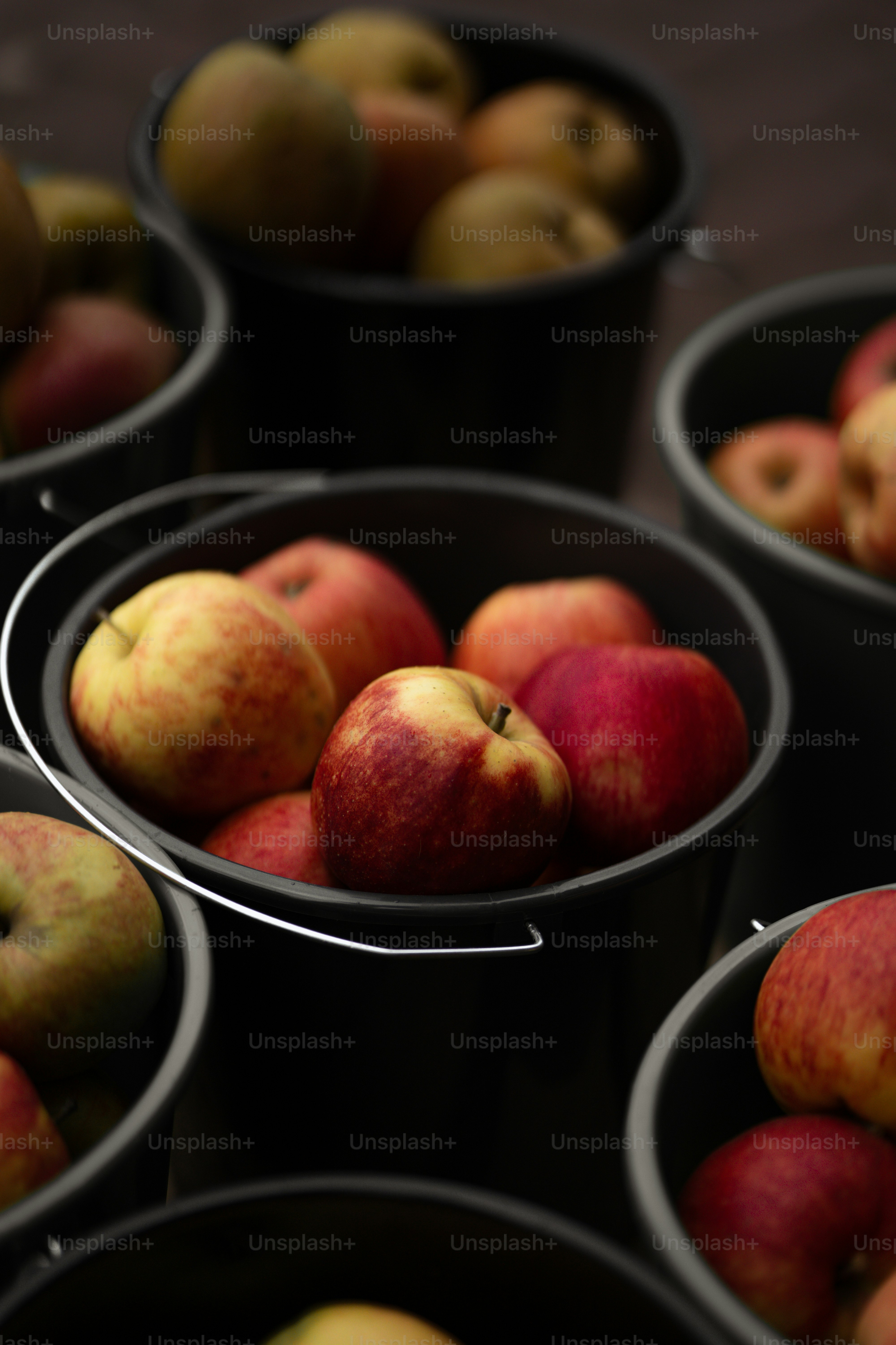 A bunch of buckets filled with lots of apples photo – Apple fruit Image ...