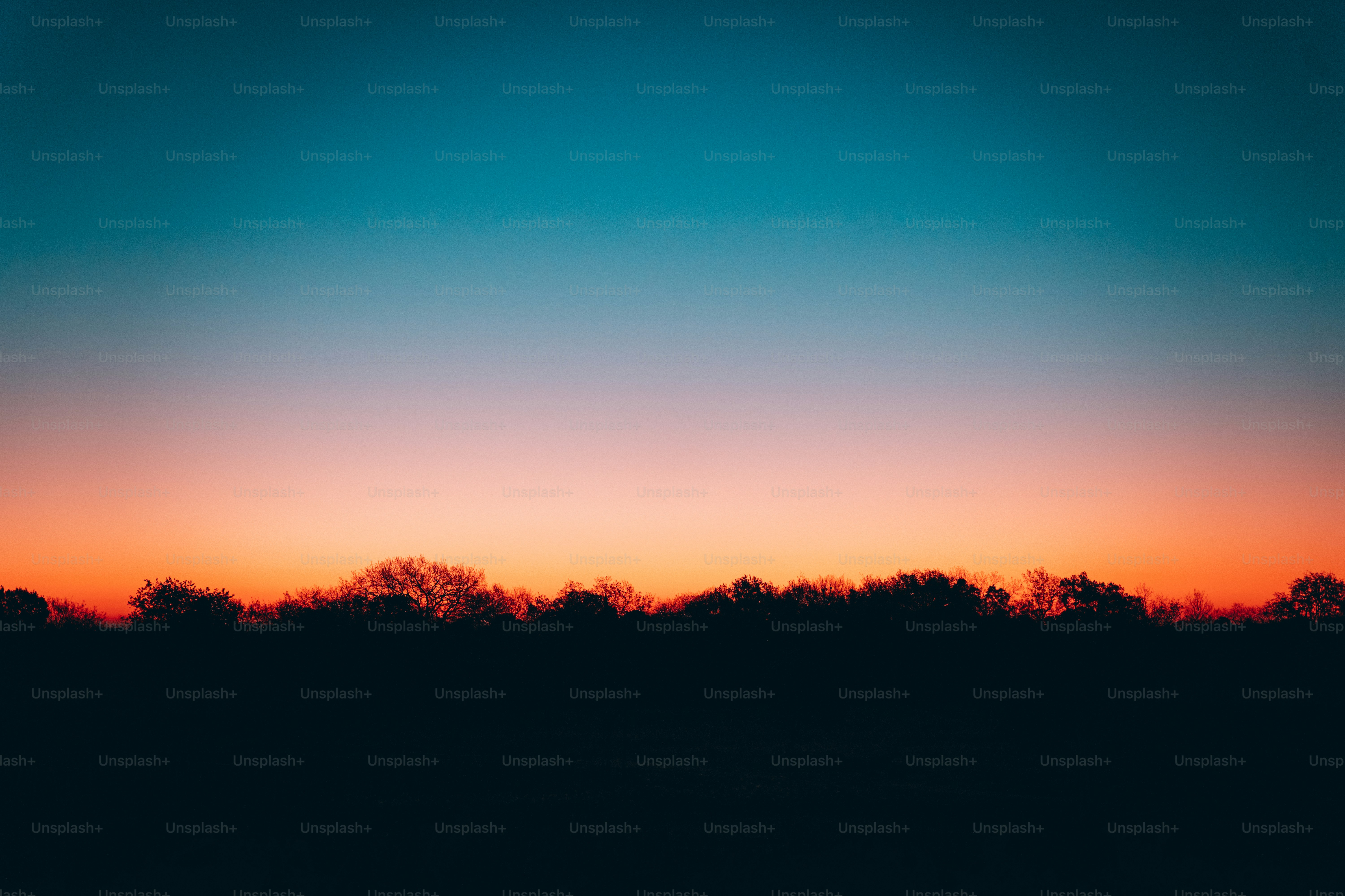 The sun is setting over the trees in the distance photo – Treeline ...