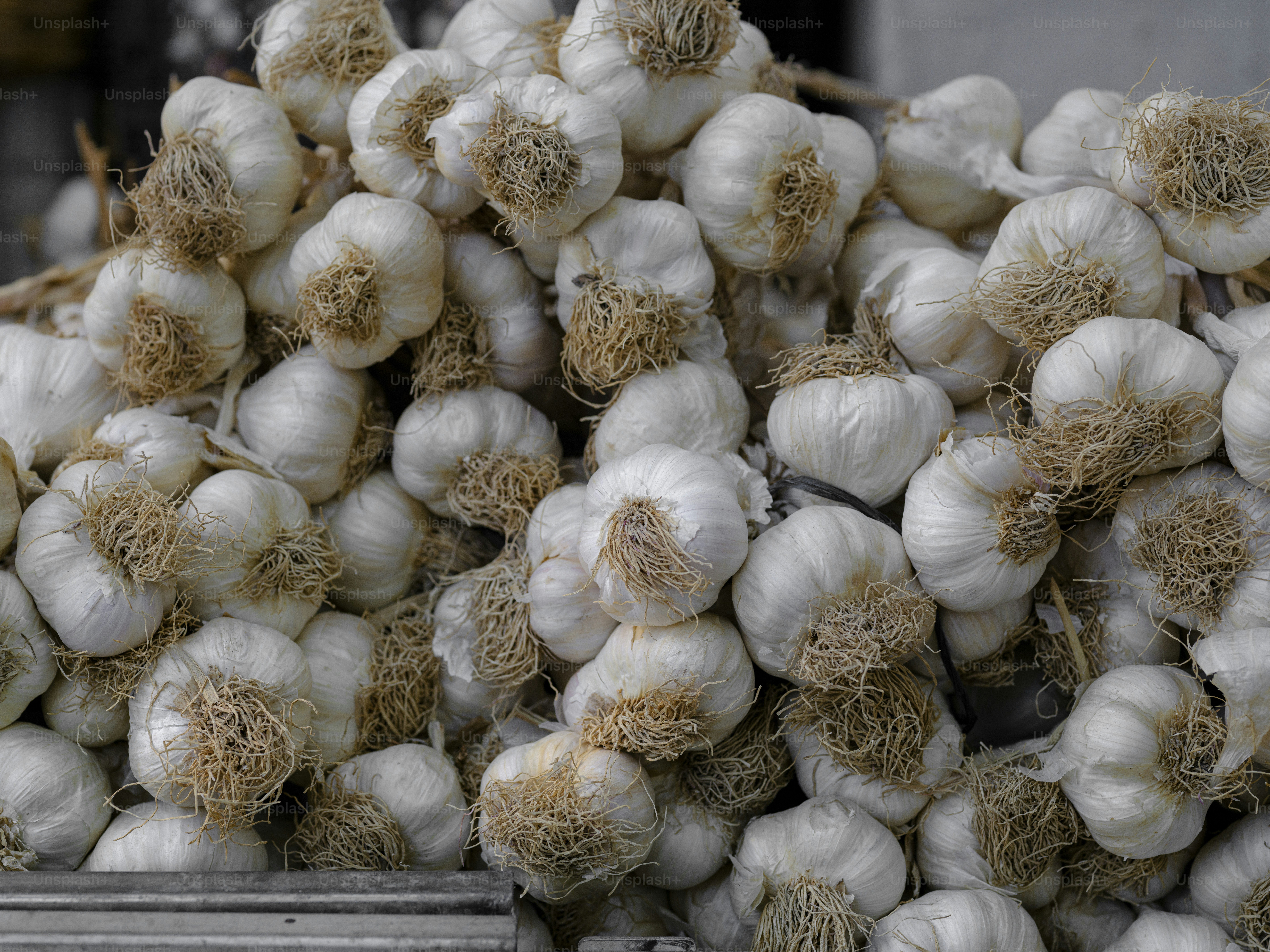 A pile of garlic sitting next to each other photo – Garlic Image on ...