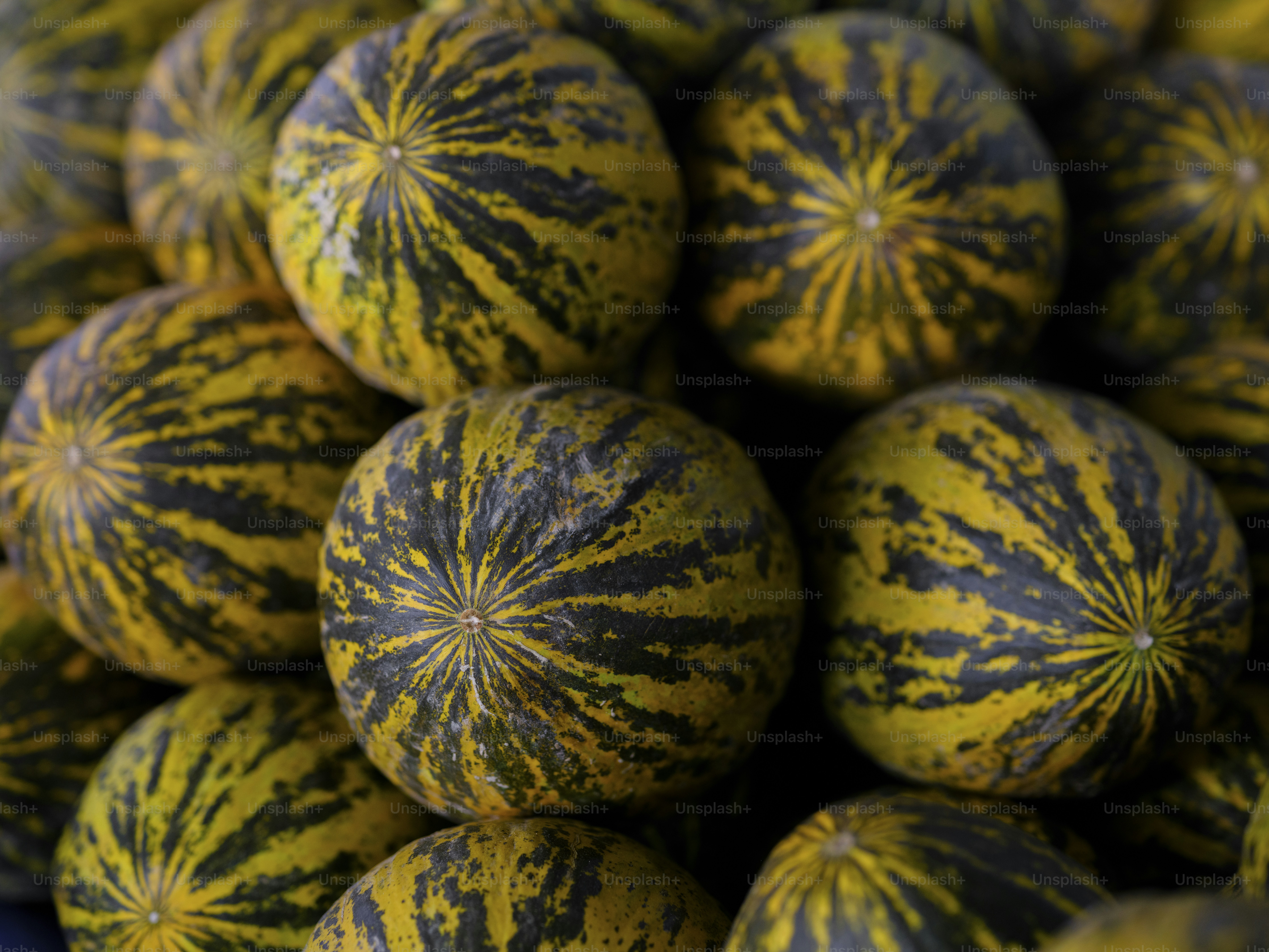 A pile of yellow and black watermelons sitting on top of each other ...