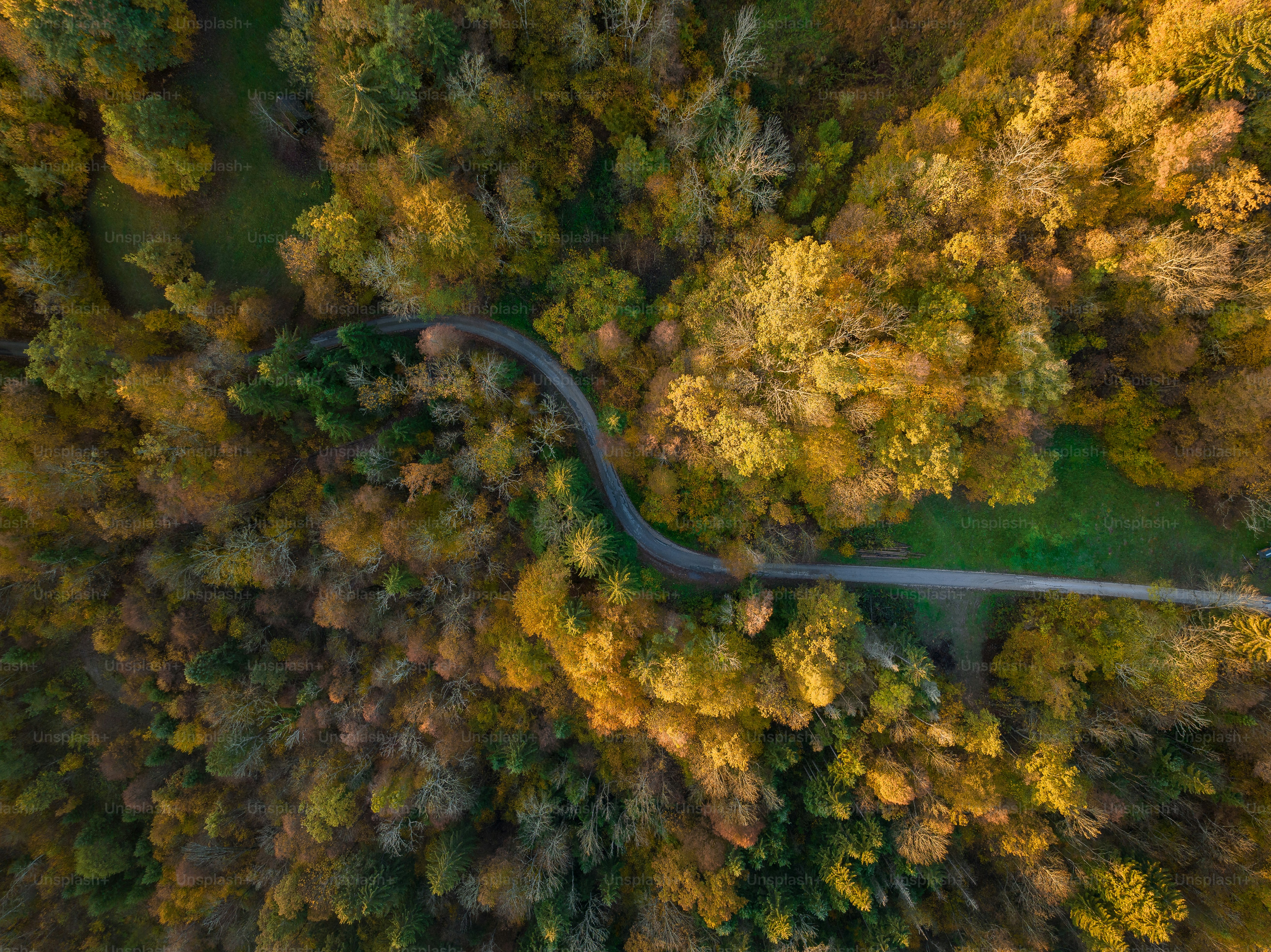 An aerial view of a winding road surrounded by trees photo – Nature ...