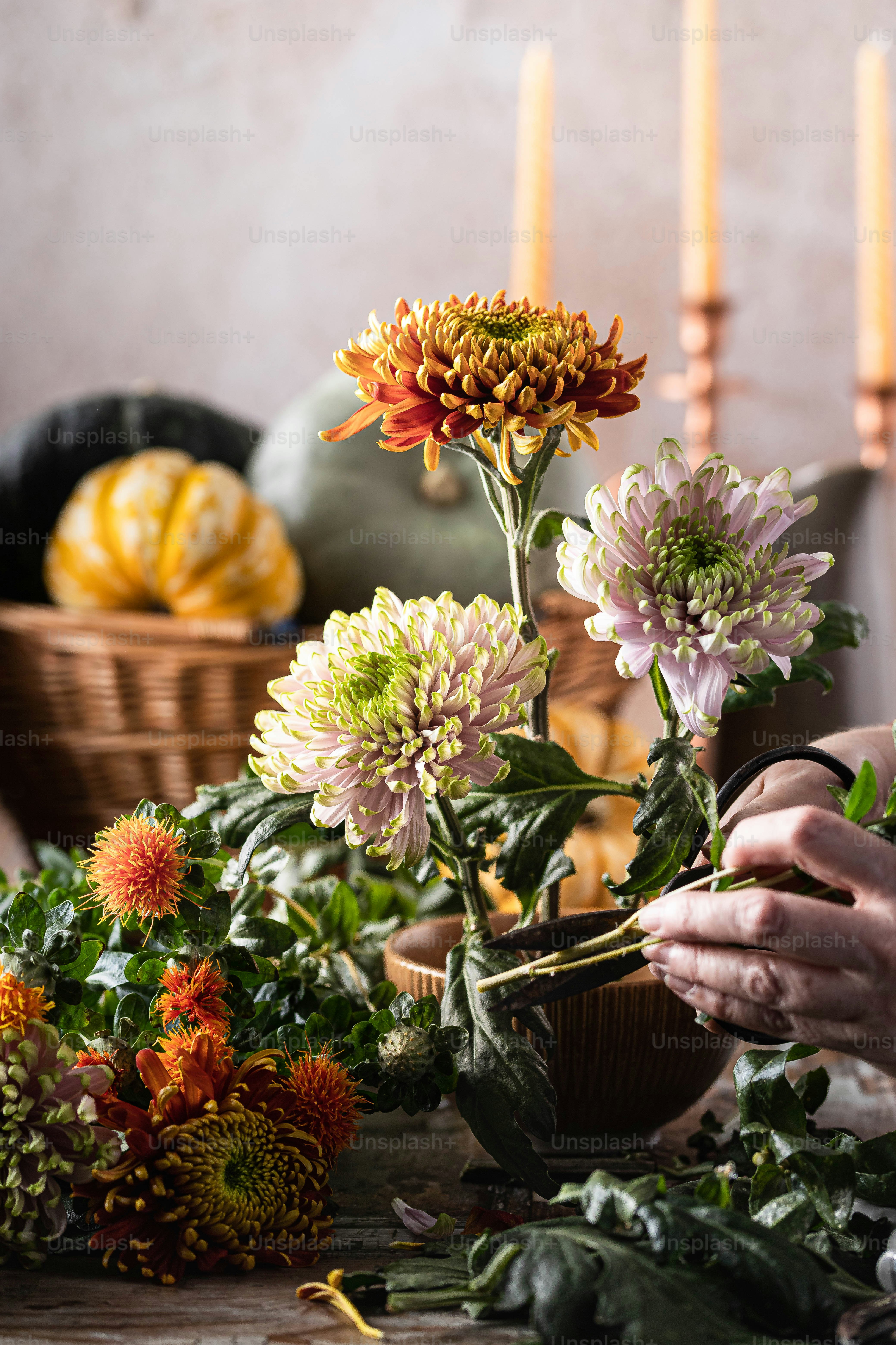 A person arranging flowers in a bowl on a table photo – Flower ...