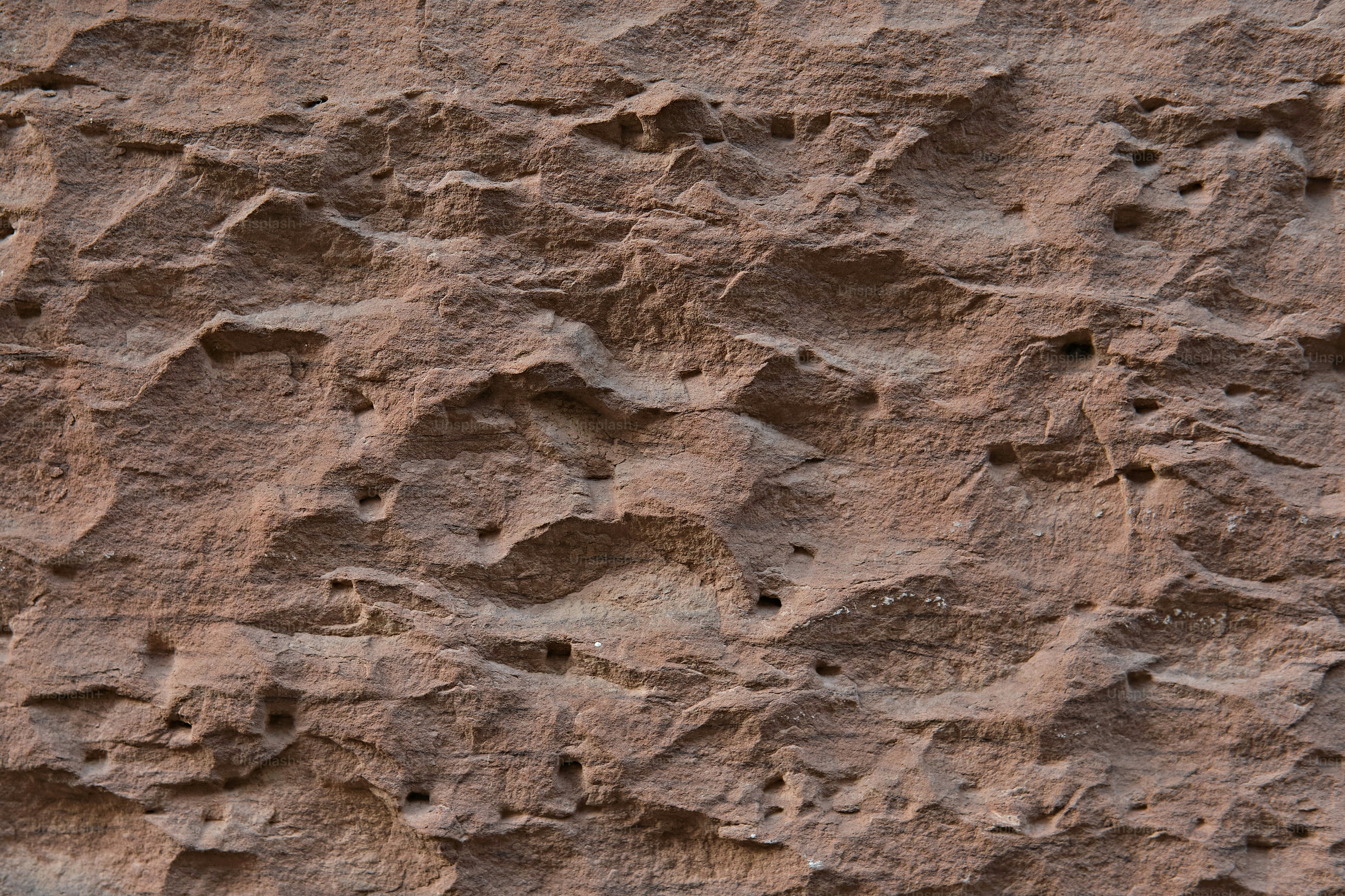 A close up of a rock with small holes in it photo – Plaster Image on ...