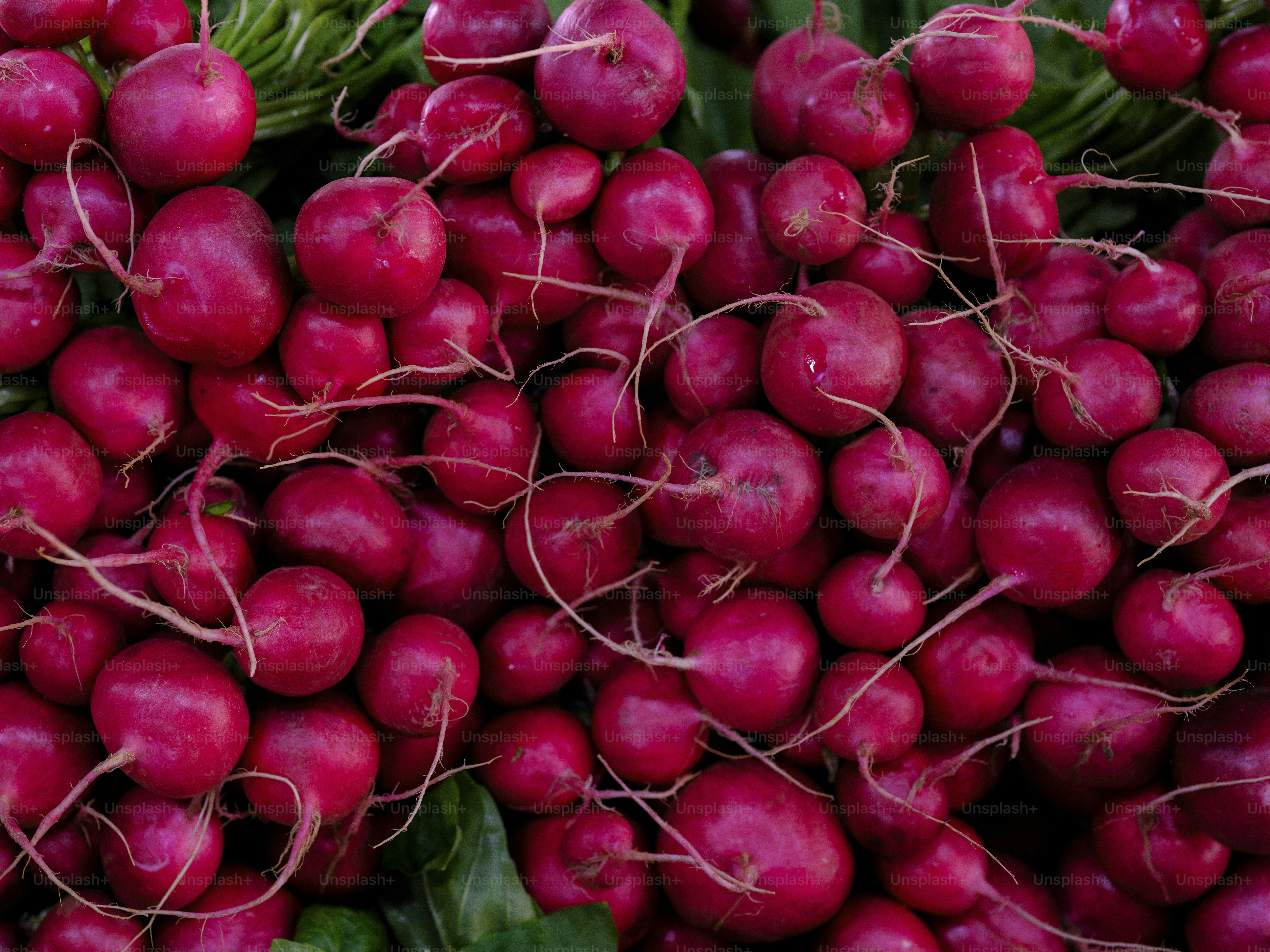 Un tas de radis rouges assis sur des feuilles vertes photo – Radis ...