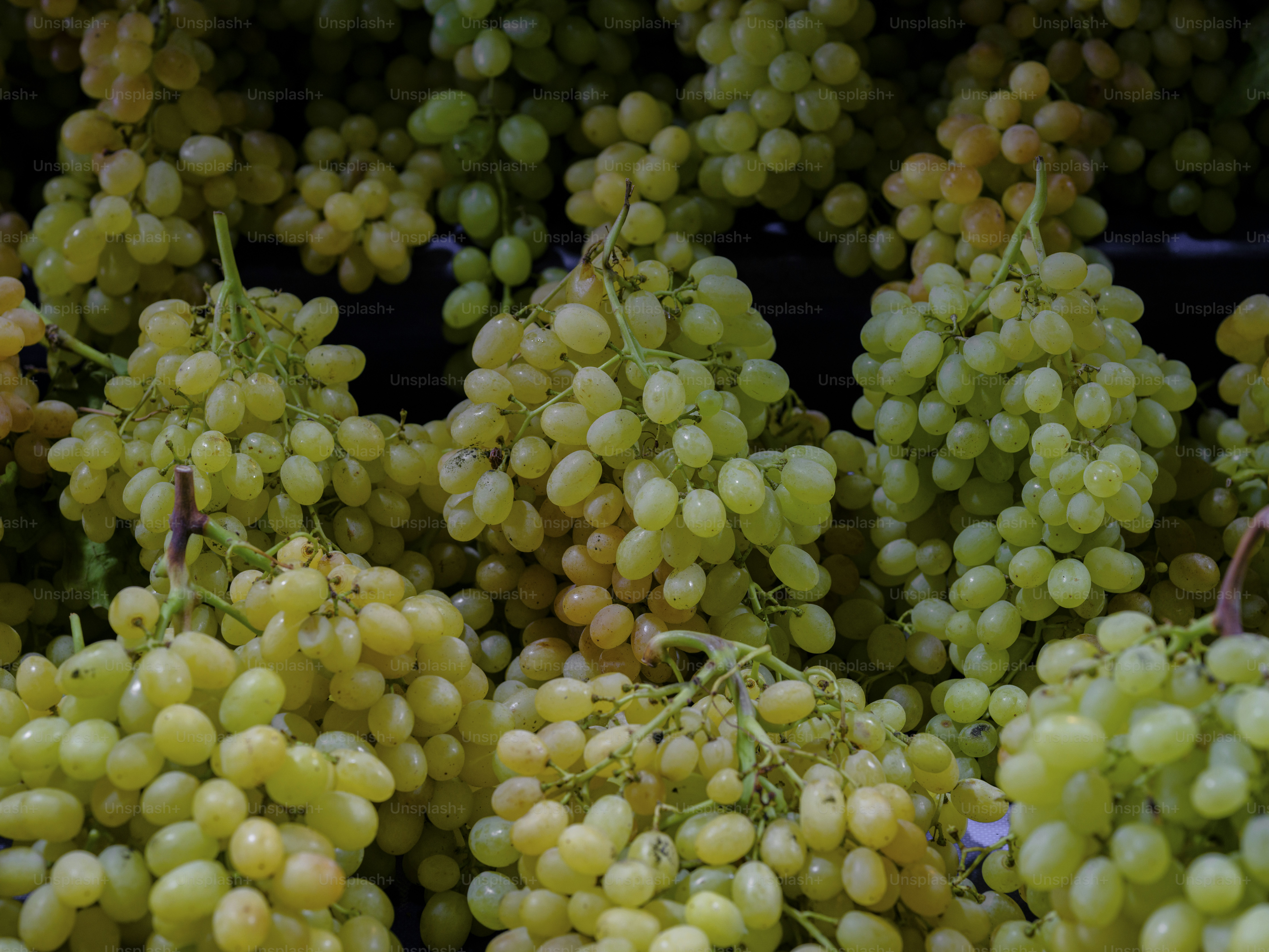 Plus de 100 images de raisin | Télécharger des images gratuites sur ...