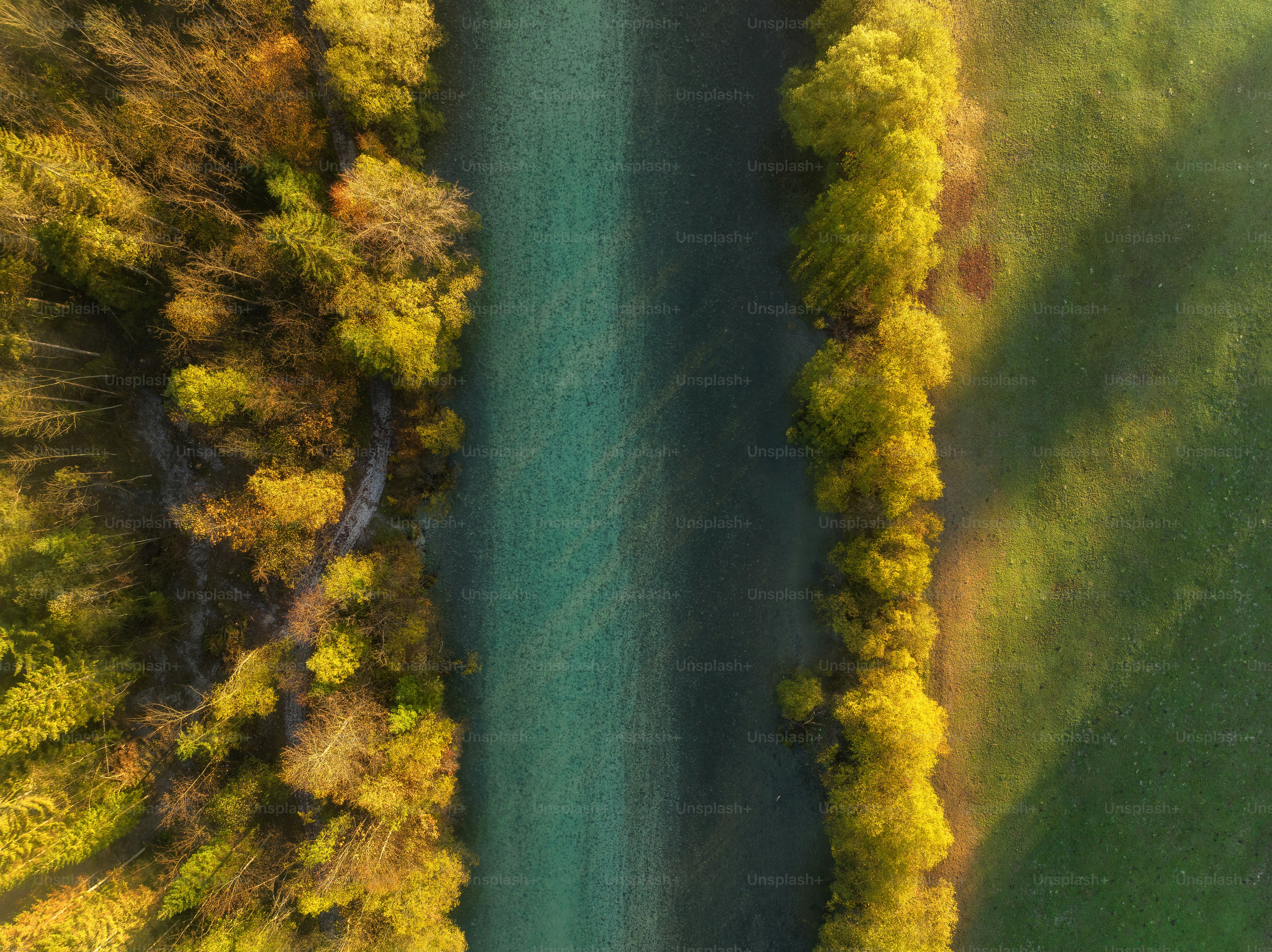 The sun shines brightly over a valley with trees in the foreground ...