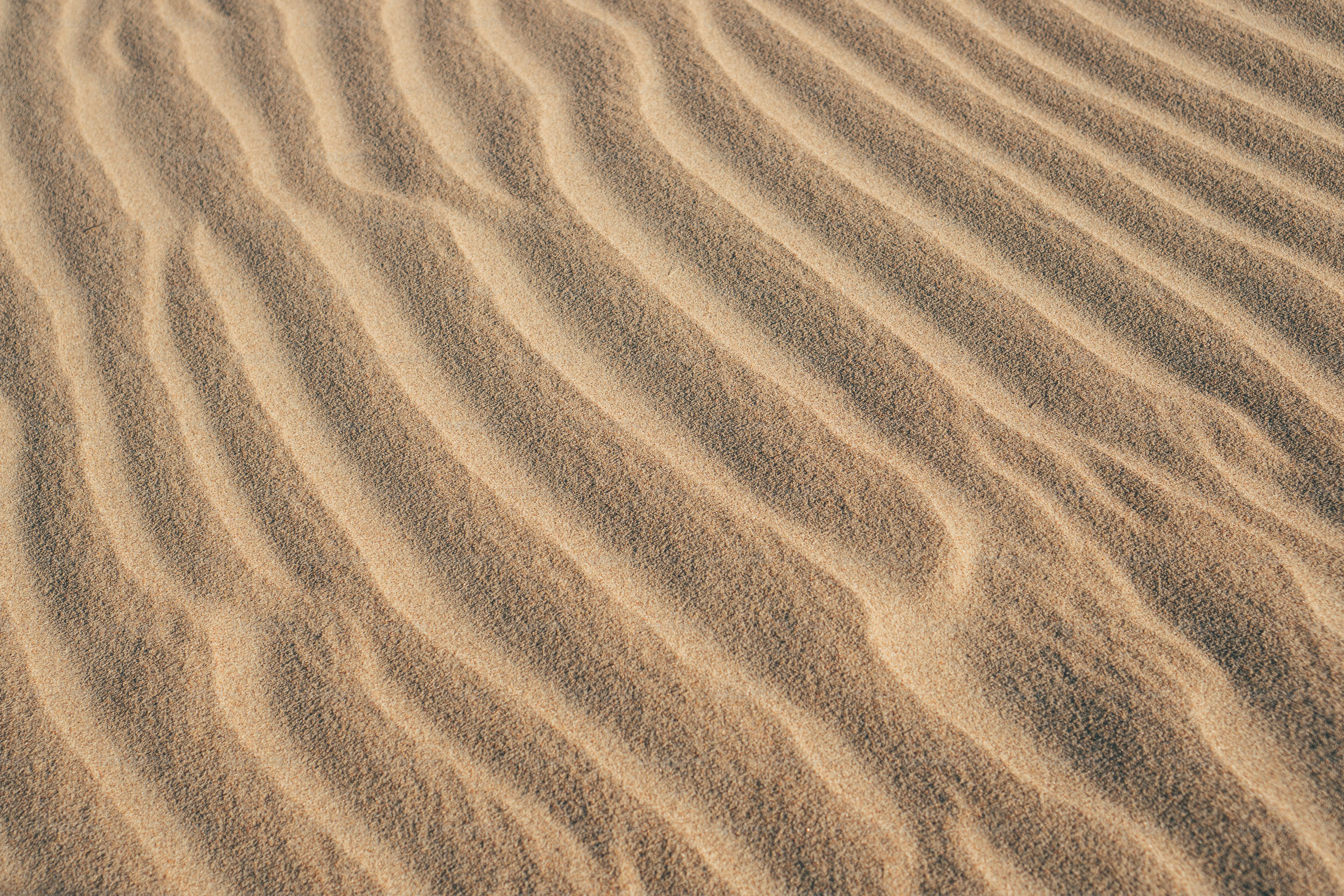 A sandy area with a small patch of grass in the middle of it photo ...