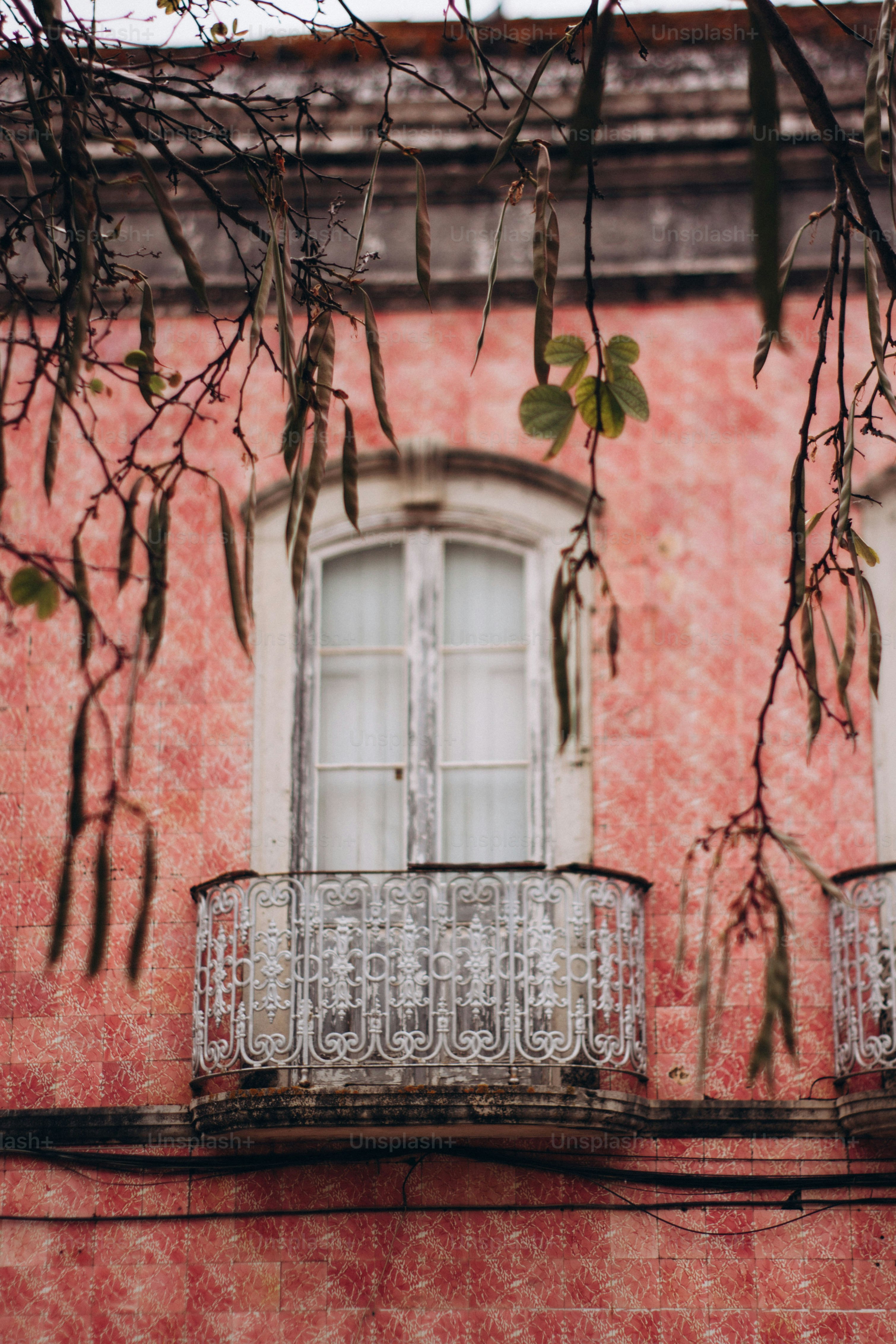 30,000+ Pink Wall Pictures | Download Free Images on Unsplash