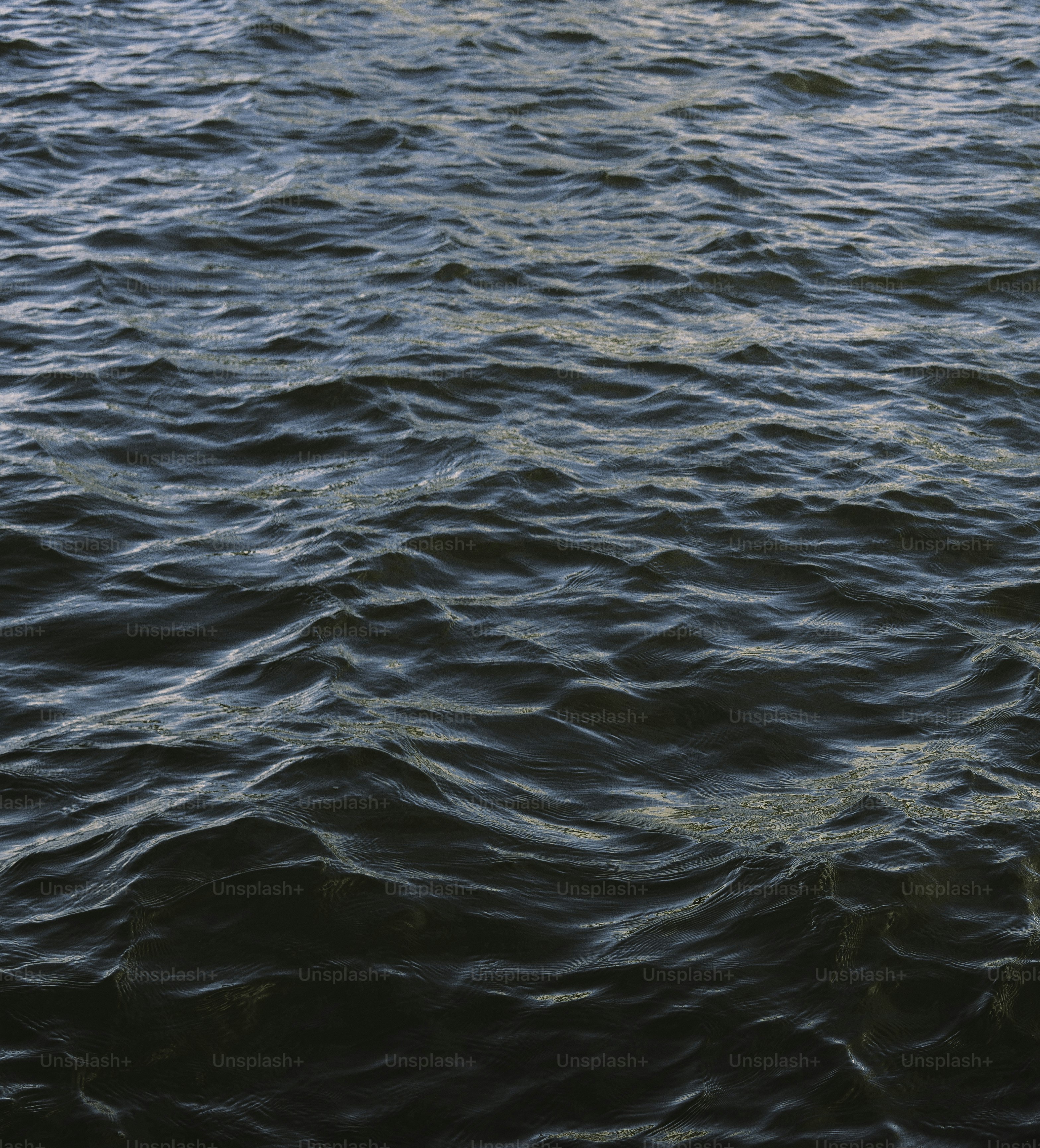 A boat floating on top of a large body of water photo – Texture Image ...
