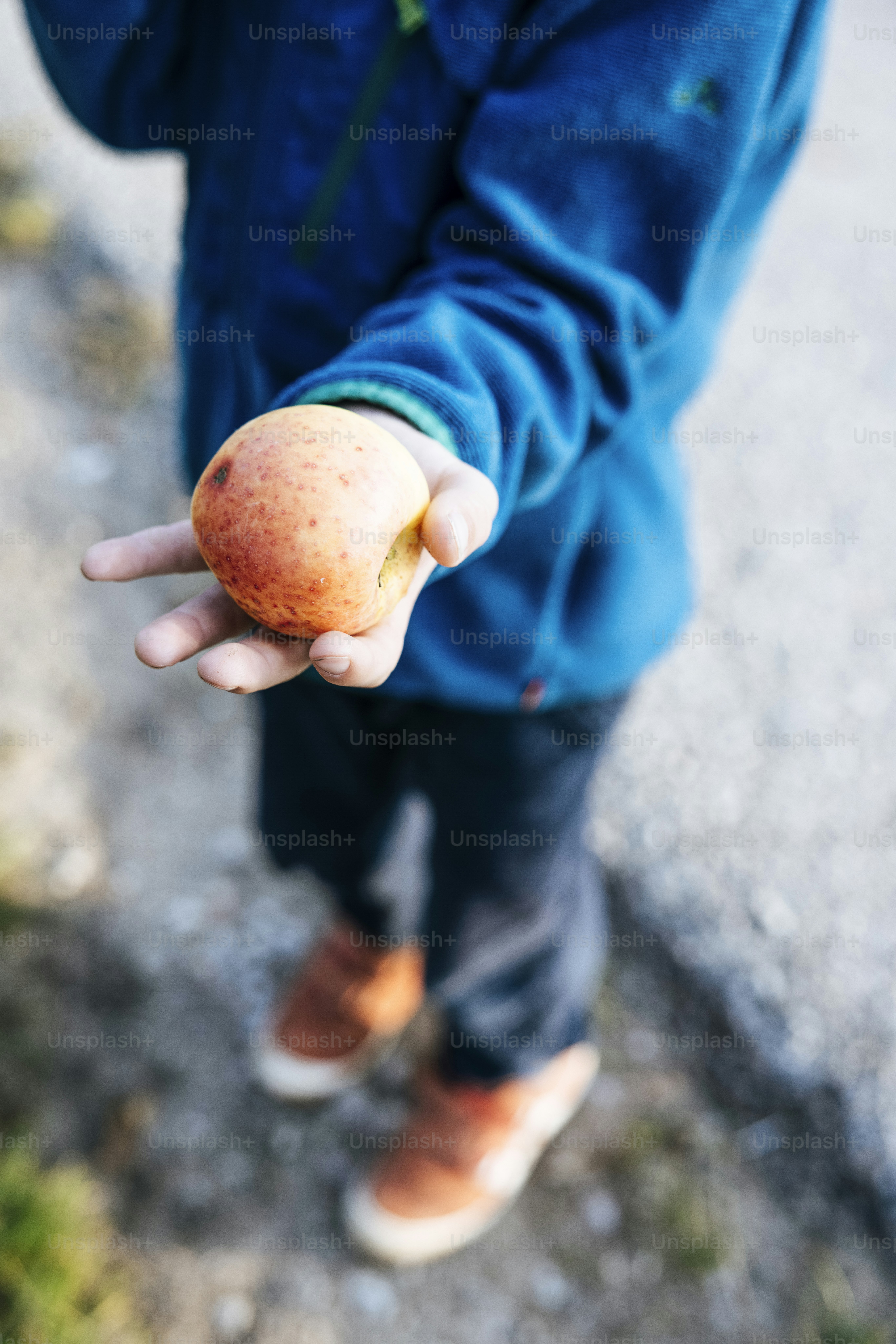 A person holding a piece of fruit in their hand photo – Apple Image on ...