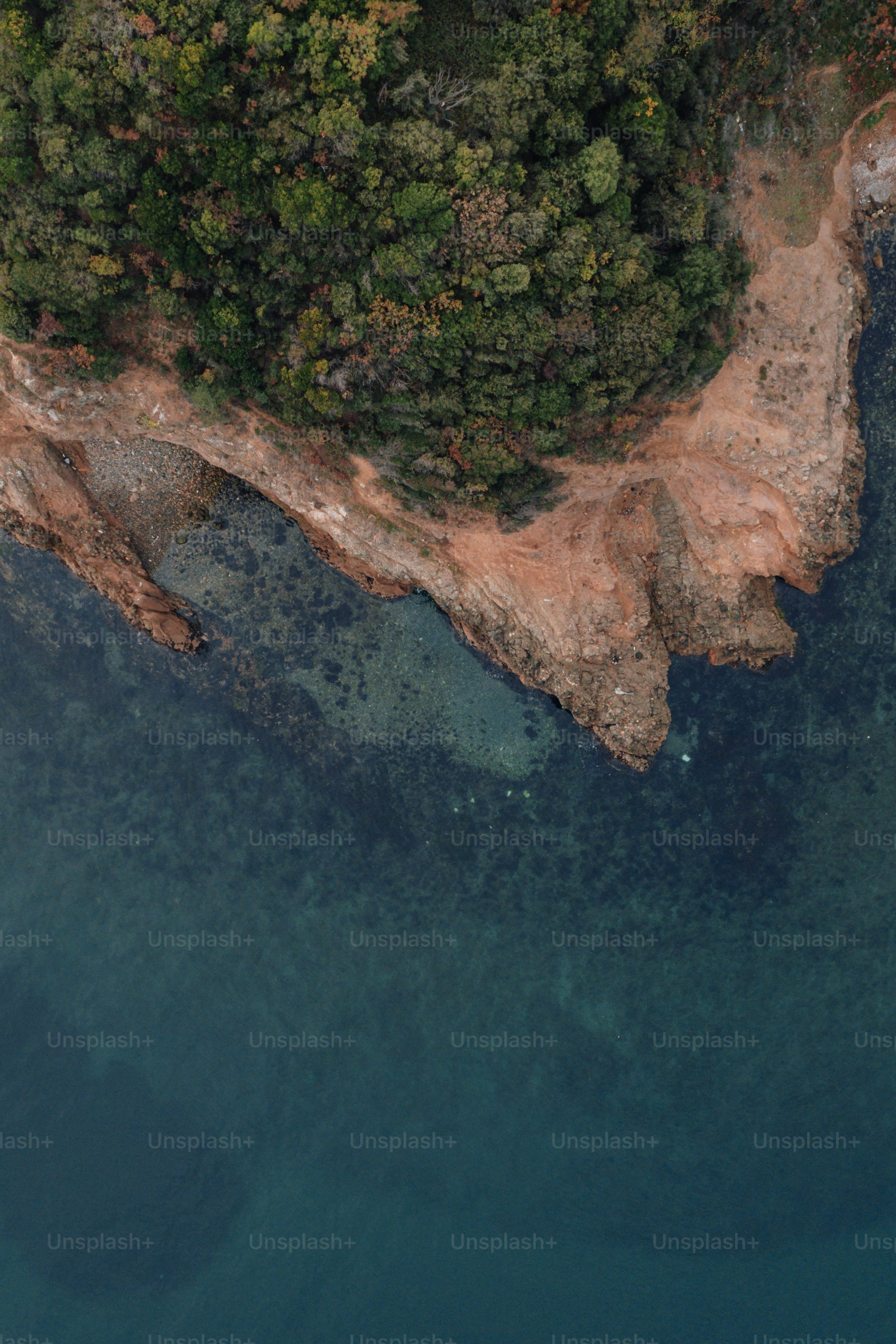 An aerial view of a body of water surrounded by trees photo – Travel ...