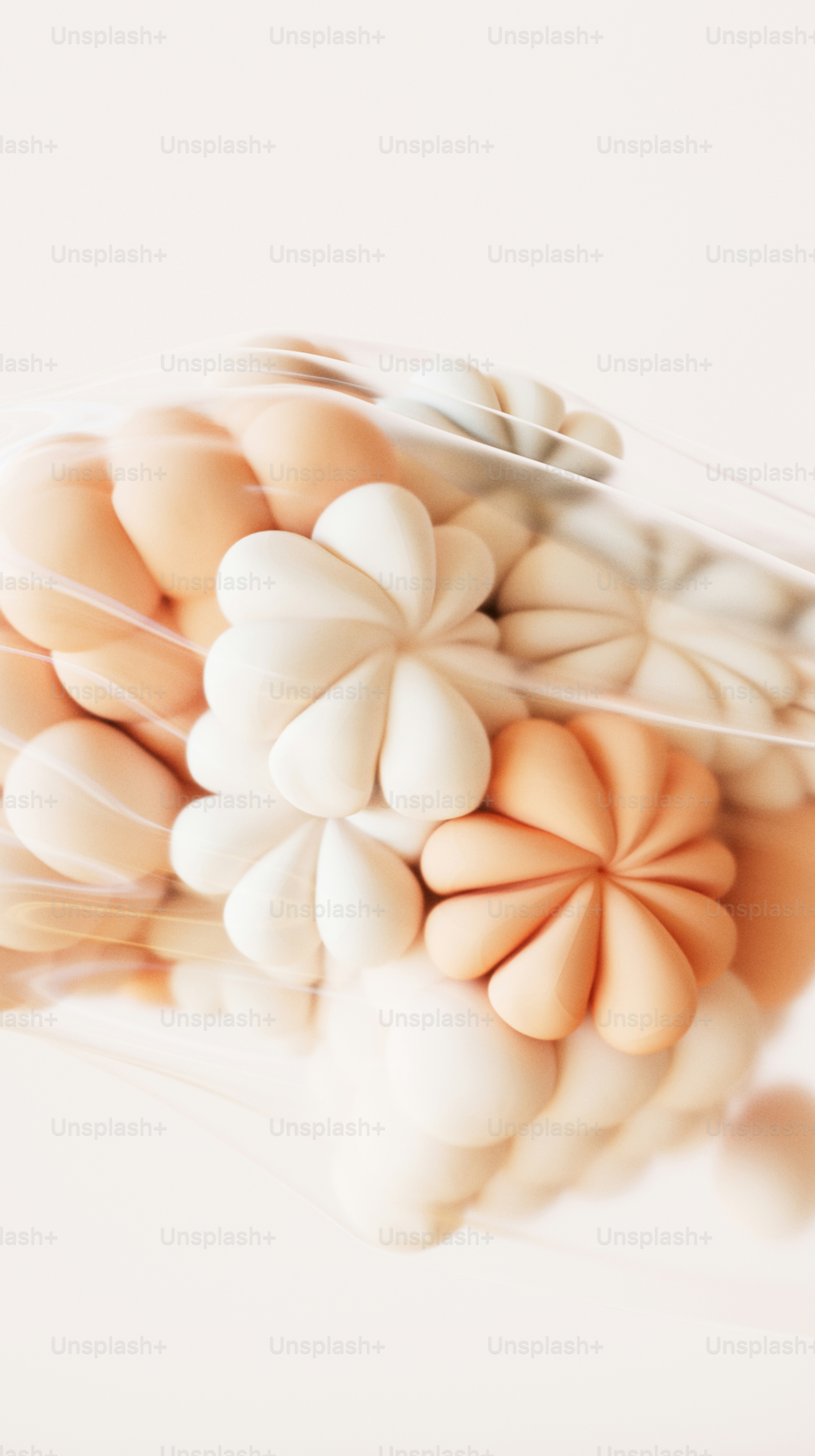 A tree with a swing hanging from it photo – Wallpaper Image on Unsplash