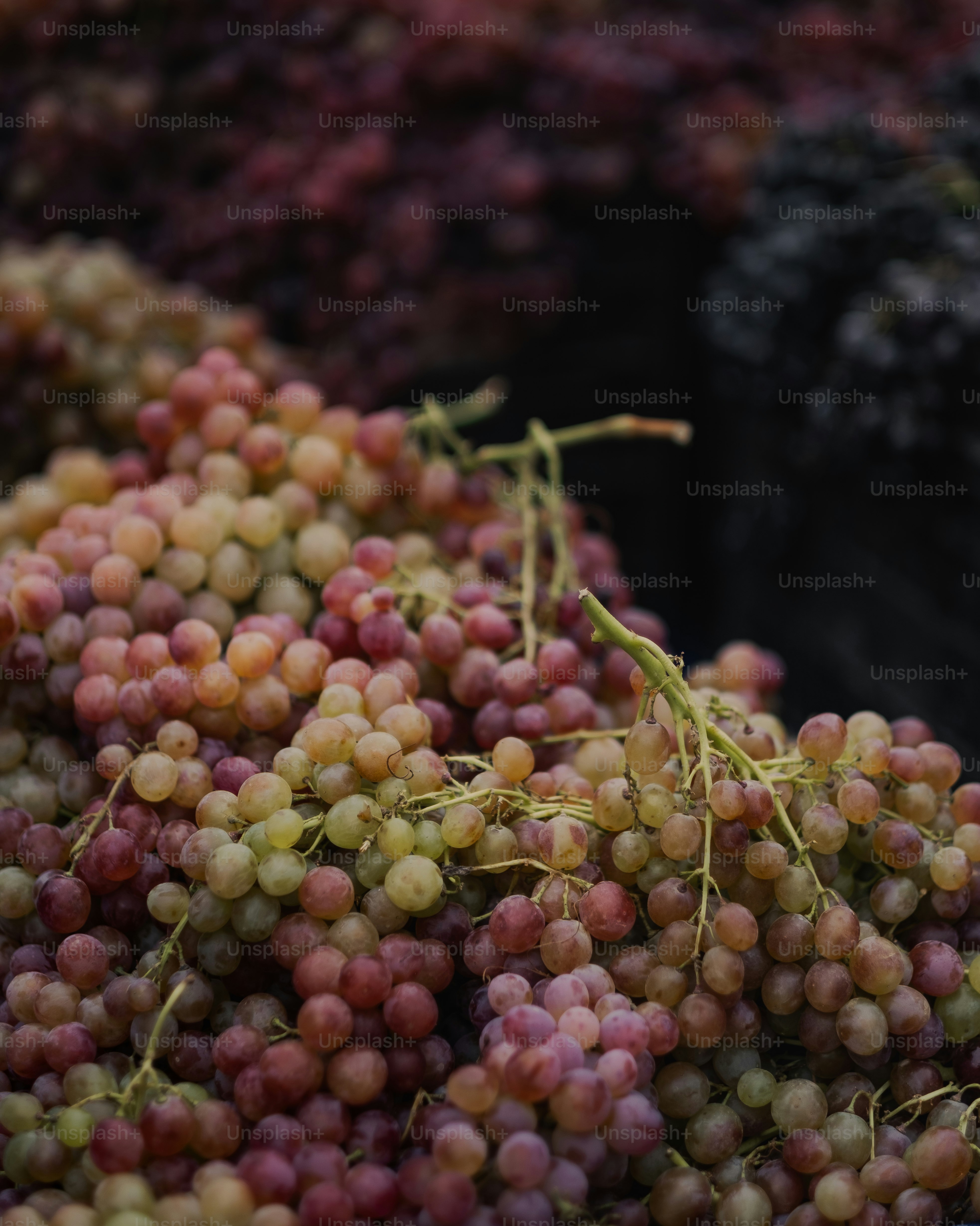 Images de Grappe De Raisin | Téléchargez des images gratuites sur Unsplash