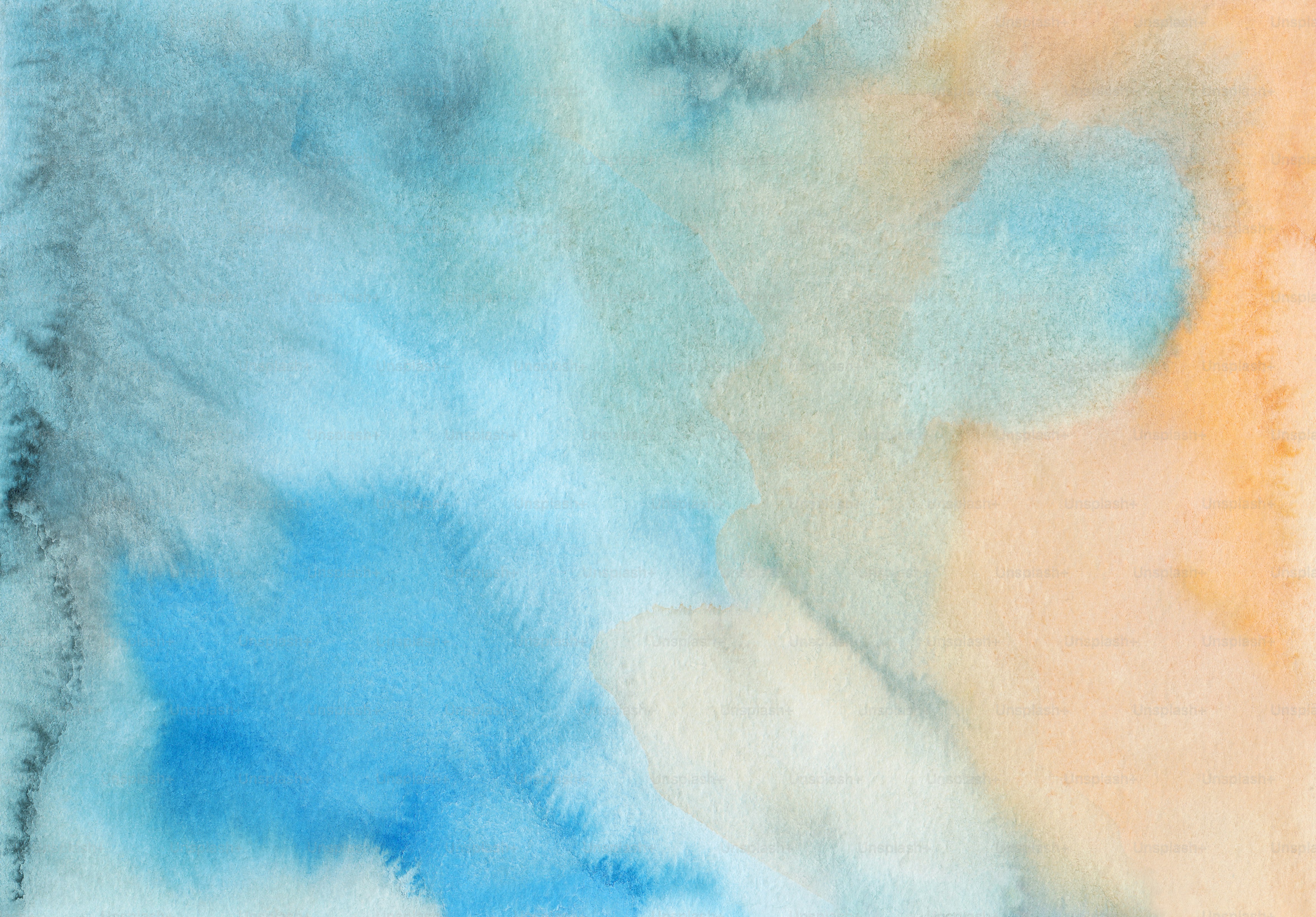 100+ Soft Pictures | Download Free Images on Unsplash