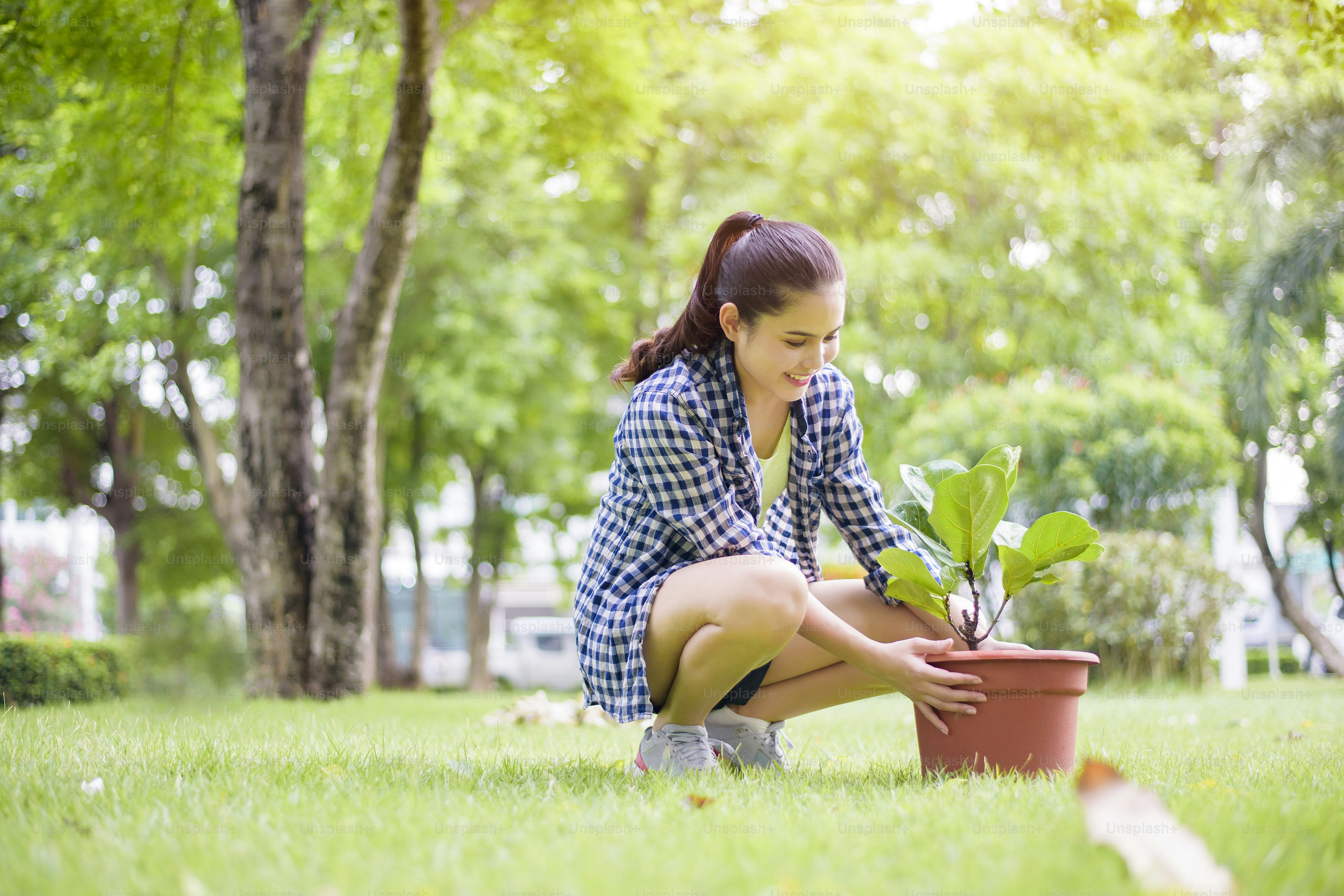 Woman is planting the tree in the garden photo – Gardening Image on ...